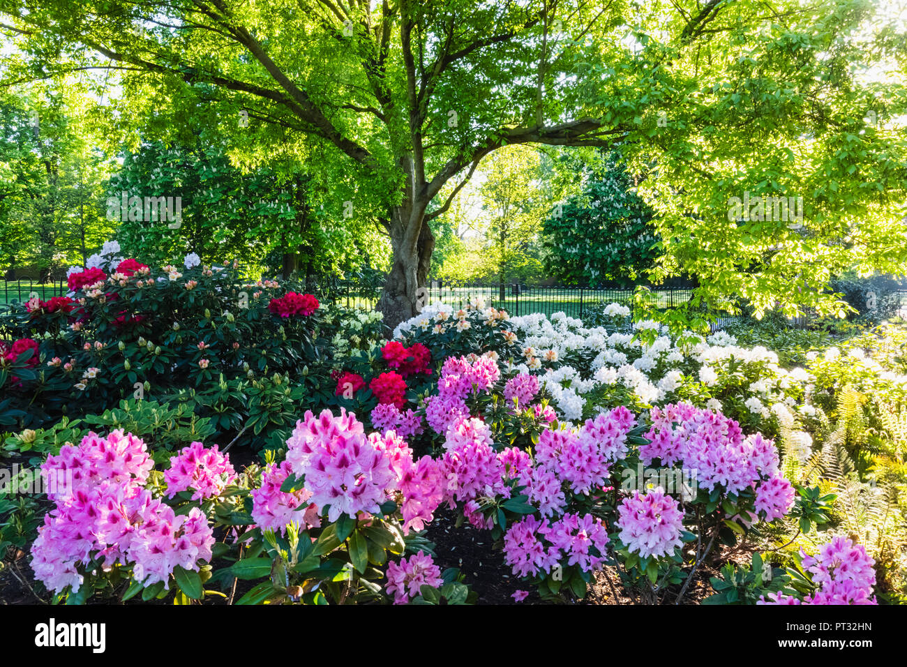 Park mit blumen -Fotos und -Bildmaterial in hoher Auflösung – Alamy