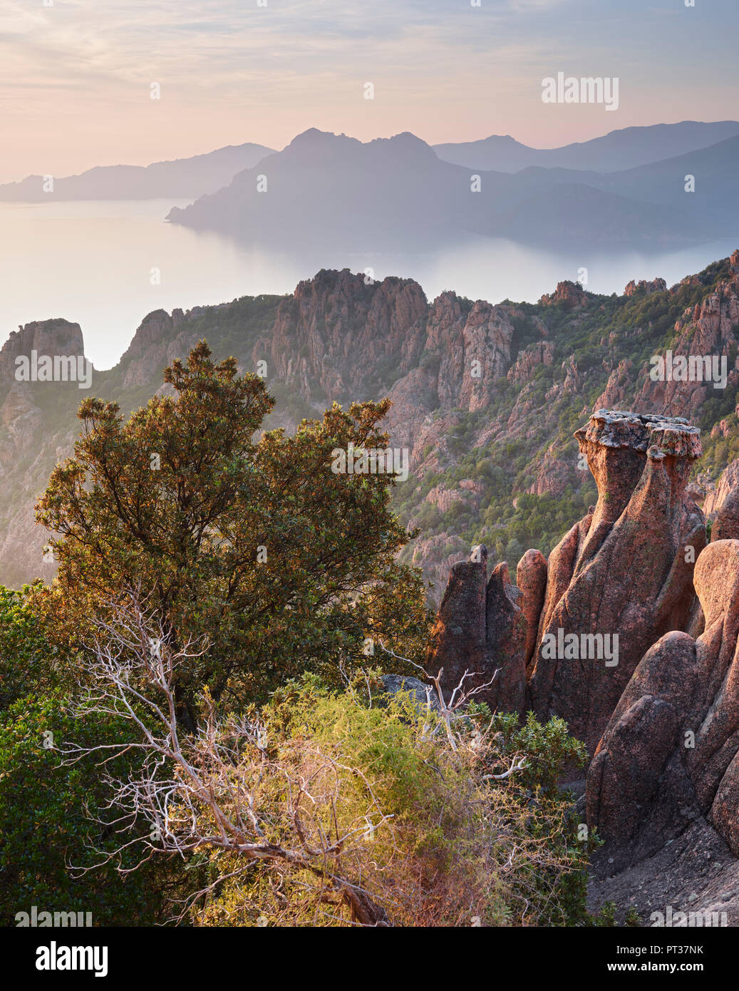 Calanques de Piana, Golfe de Porto, Korsika, Frankreich Stockfotografie ...