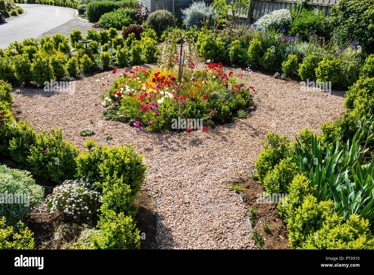 Australische gartenpflanzen -Fotos und -Bildmaterial in hoher Auflösung ...