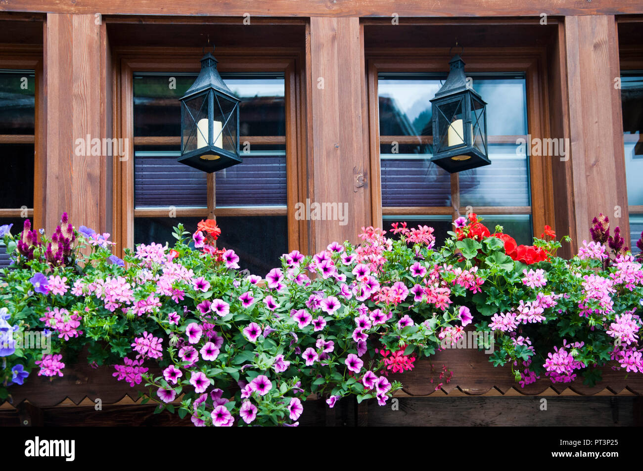 Alpine window box -Fotos und -Bildmaterial in hoher Auflösung – Alamy