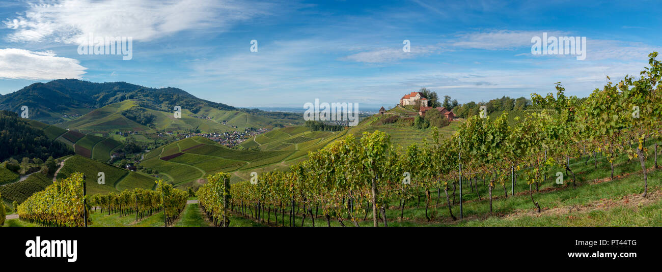 Durbach baden wurttemberg germany black -Fotos und -Bildmaterial in hoher Auflösung – Alamy
