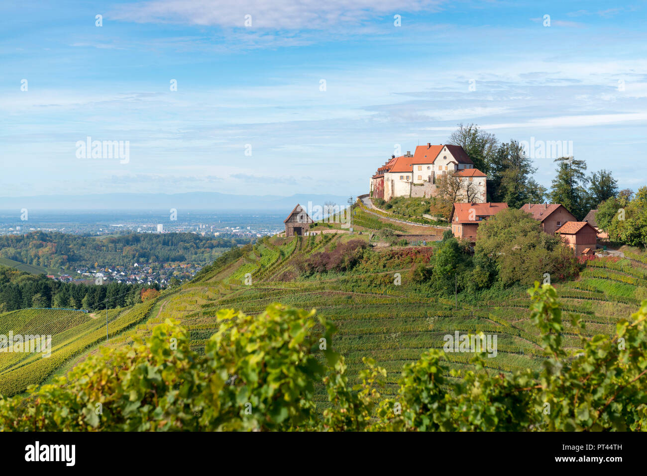 Durbach baden wurttemberg germany black -Fotos und -Bildmaterial in ...