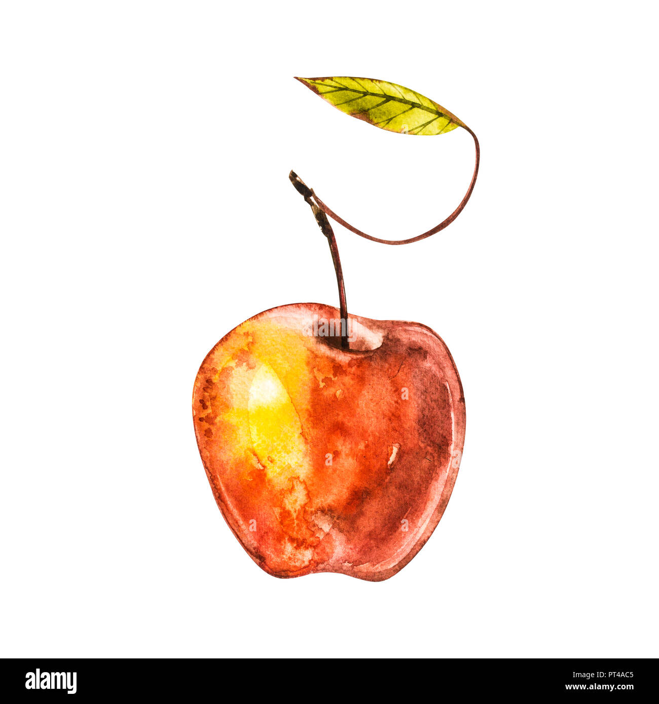 Apfel Aquarell Stockfotos und -bilder Kaufen - Alamy