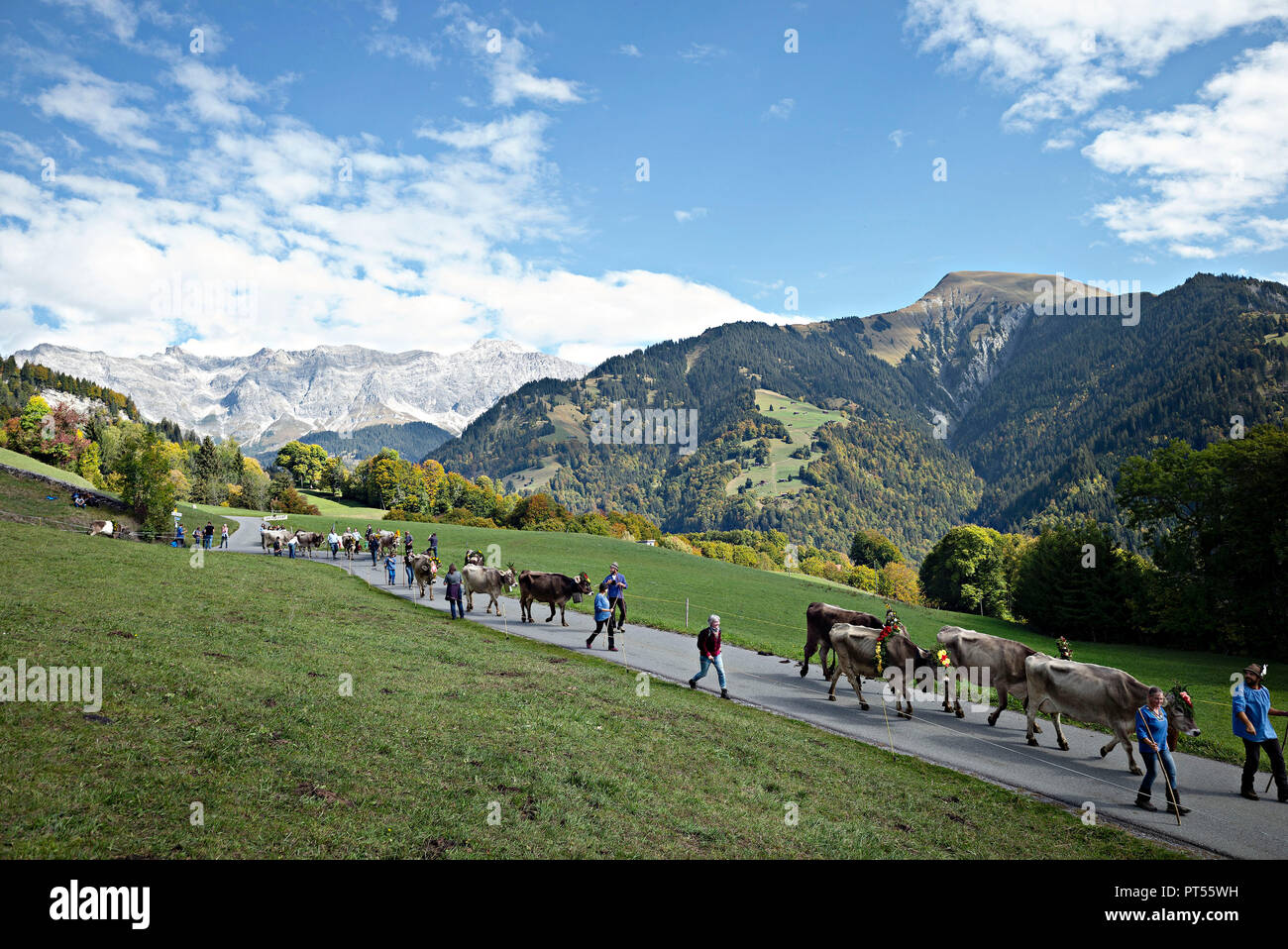 Kreis seewis -Fotos und -Bildmaterial in hoher Auflösung – Alamy