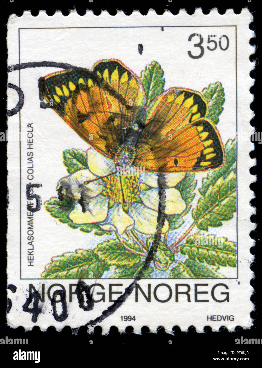 Schmetterlinge 3 -Fotos und -Bildmaterial in hoher Auflösung – Alamy