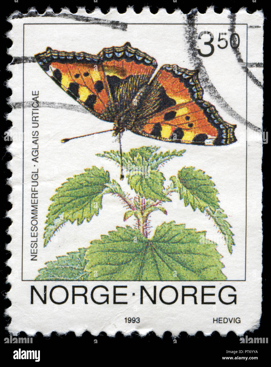 Schmetterlinge 3 -Fotos und -Bildmaterial in hoher Auflösung – Alamy