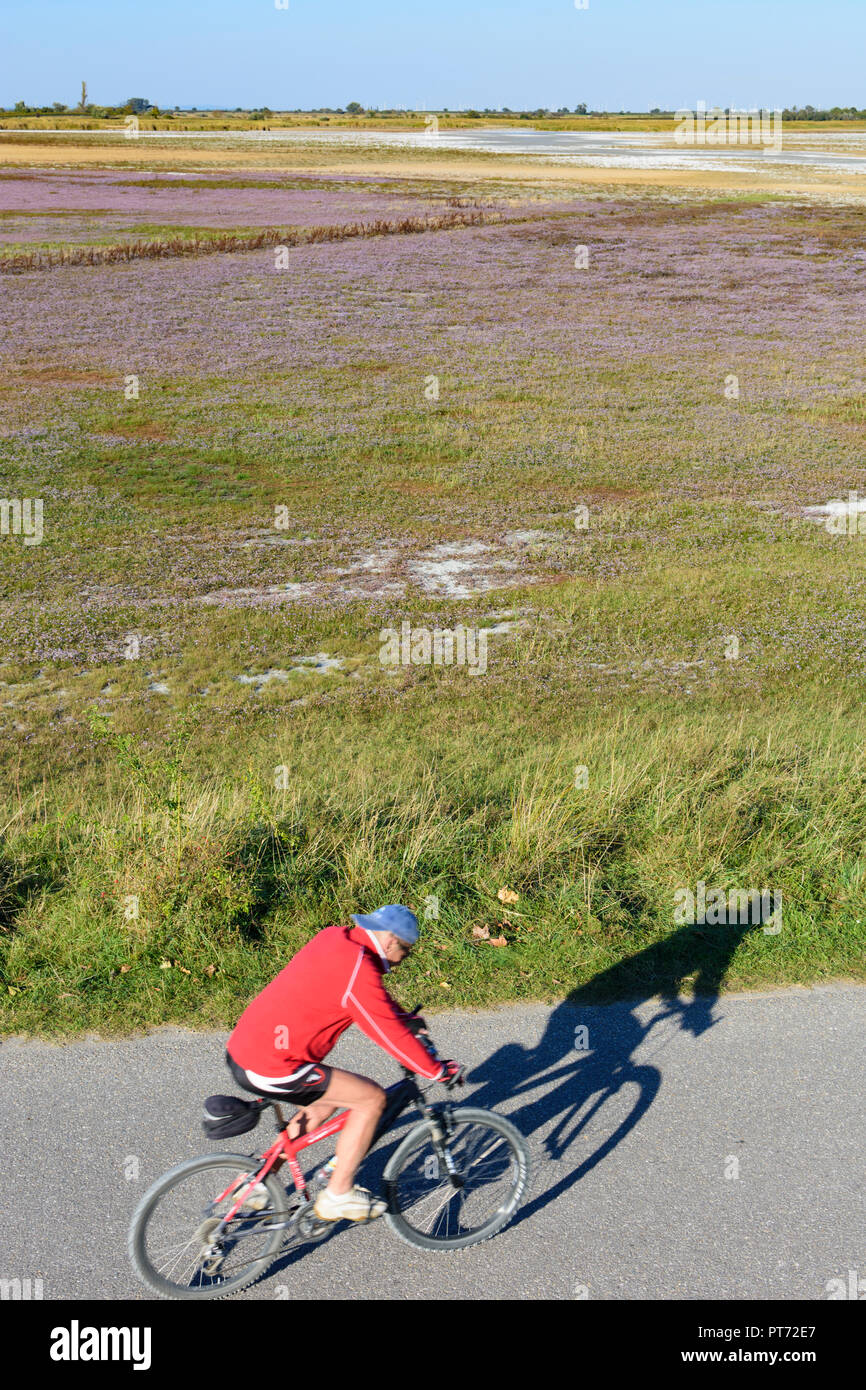 Radfahrer am neusiedler see neusiedler see -Fotos und -Bildmaterial in ...