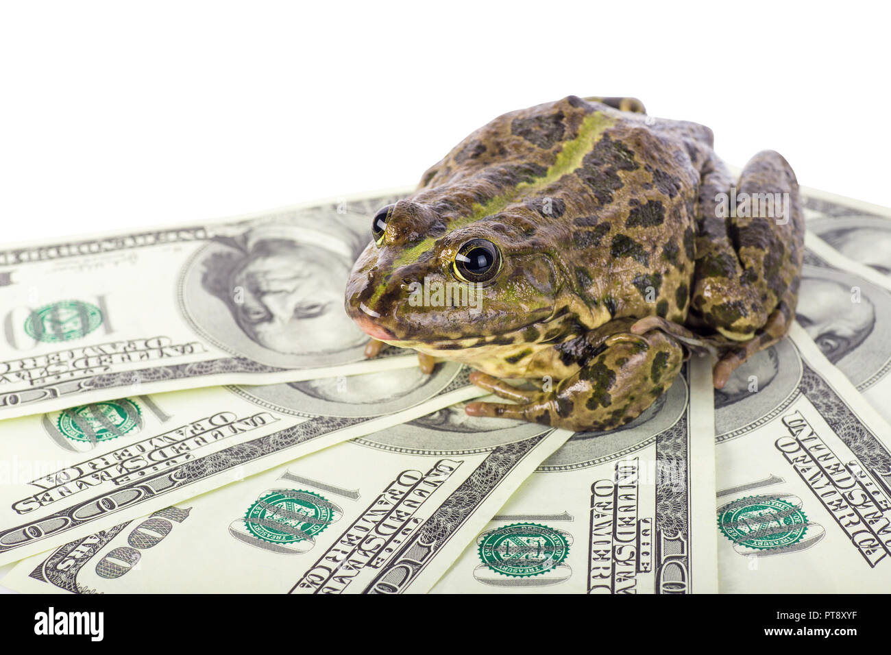 Geld und reichtum -Fotos und -Bildmaterial in hoher Auflösung – Alamy