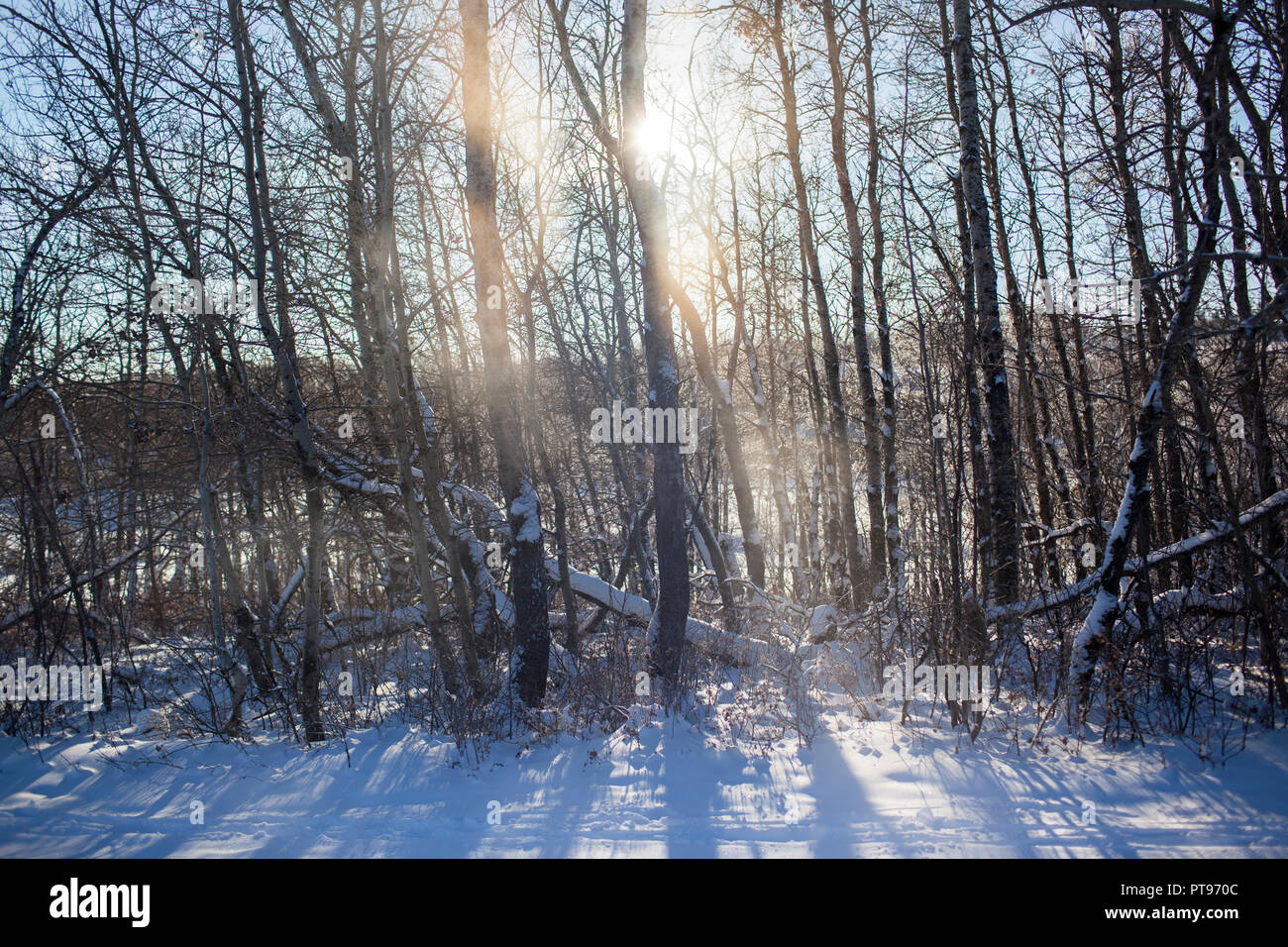 Encana corporation -Fotos und -Bildmaterial in hoher Auflösung – Alamy