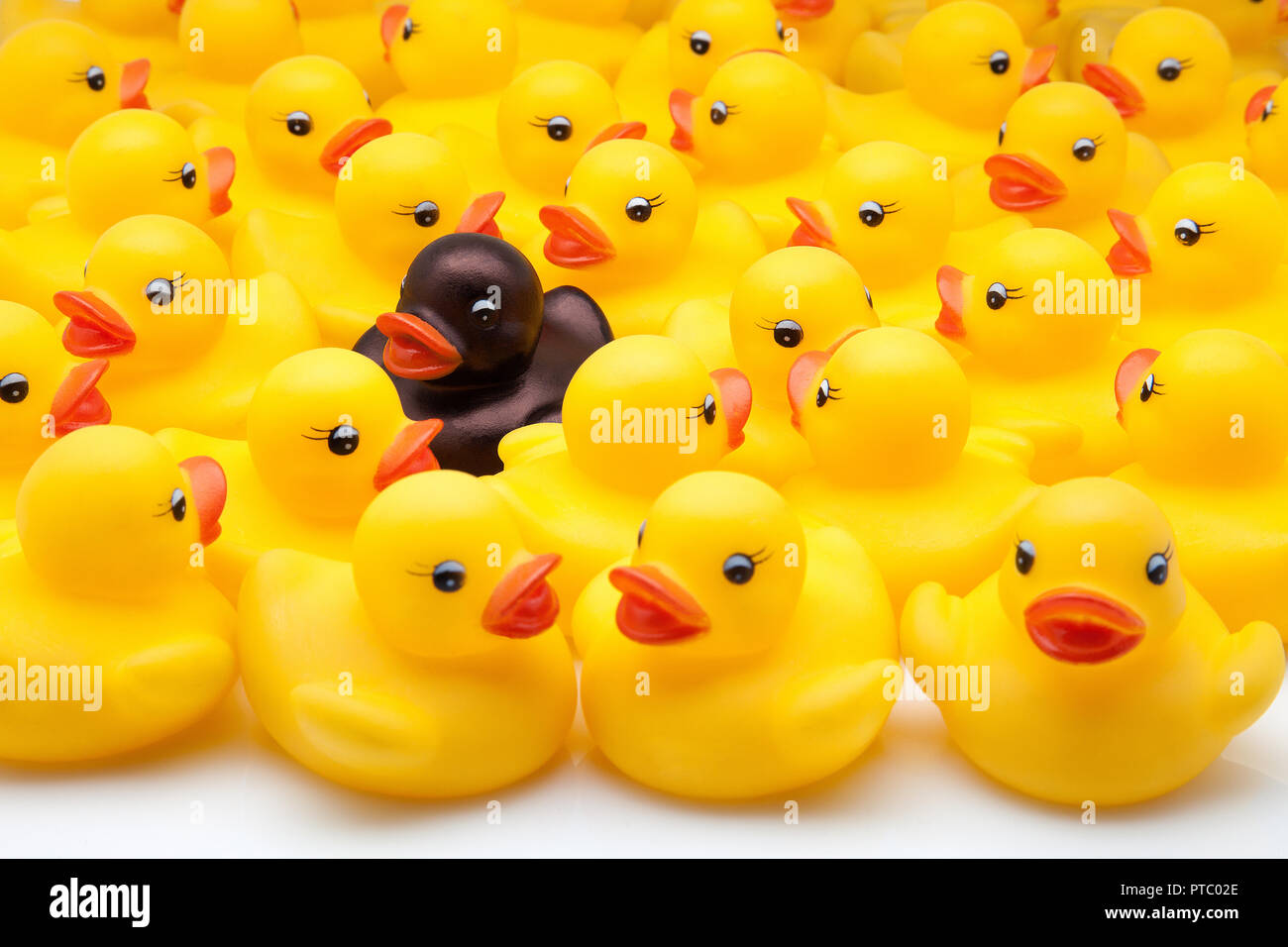 Gelbe enten -Fotos und -Bildmaterial in hoher Auflösung – Alamy