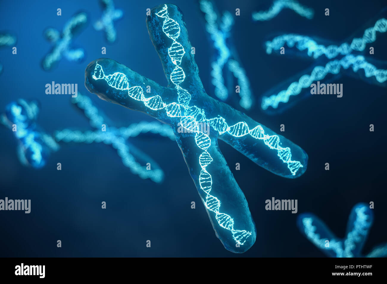 3D-Abbildung X-Chromosomen mit der DNA, der genetische Code. Genetik ...