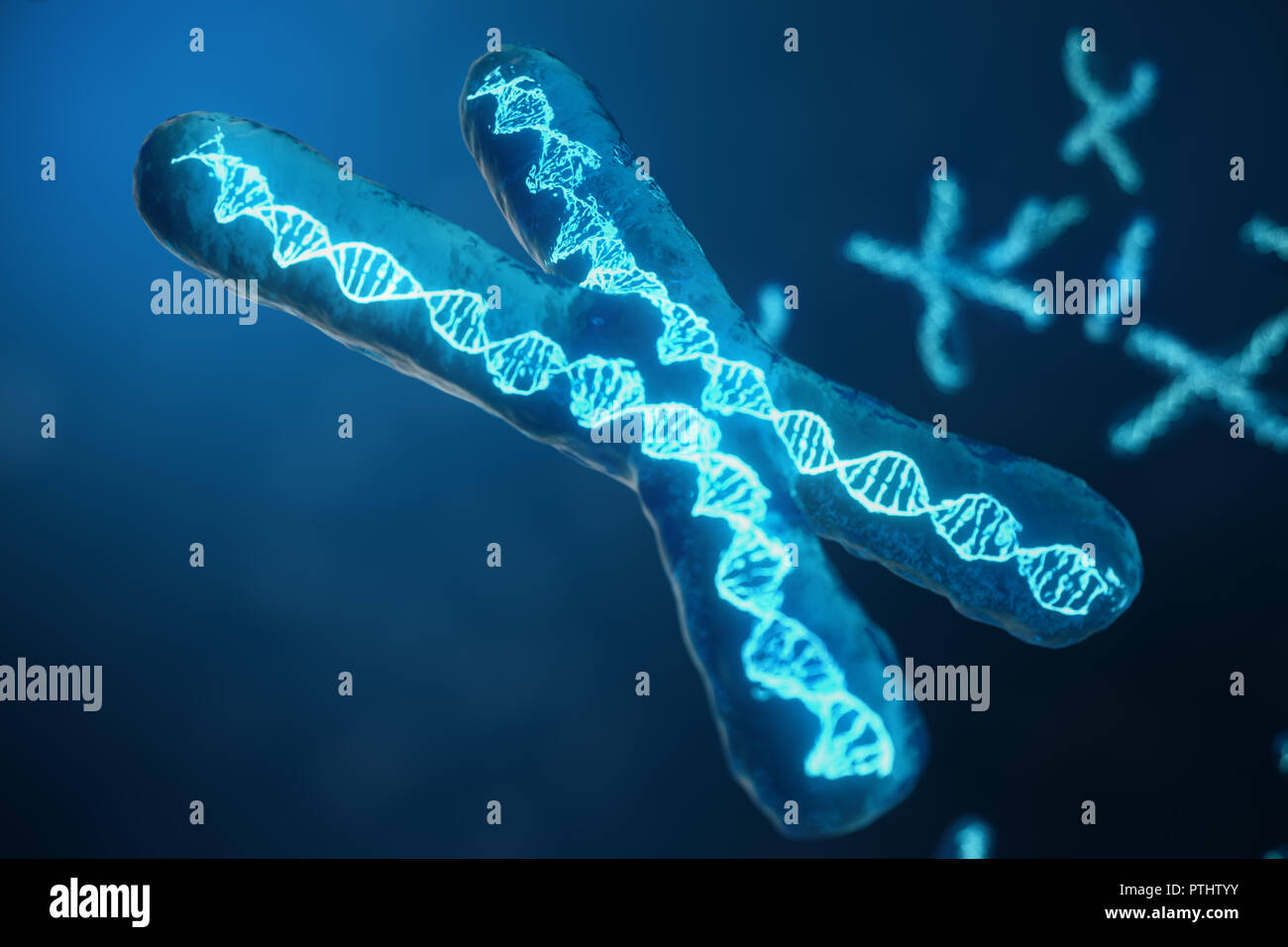 3D-Abbildung X-Chromosomen mit der DNA, der genetische Code. Genetik ...