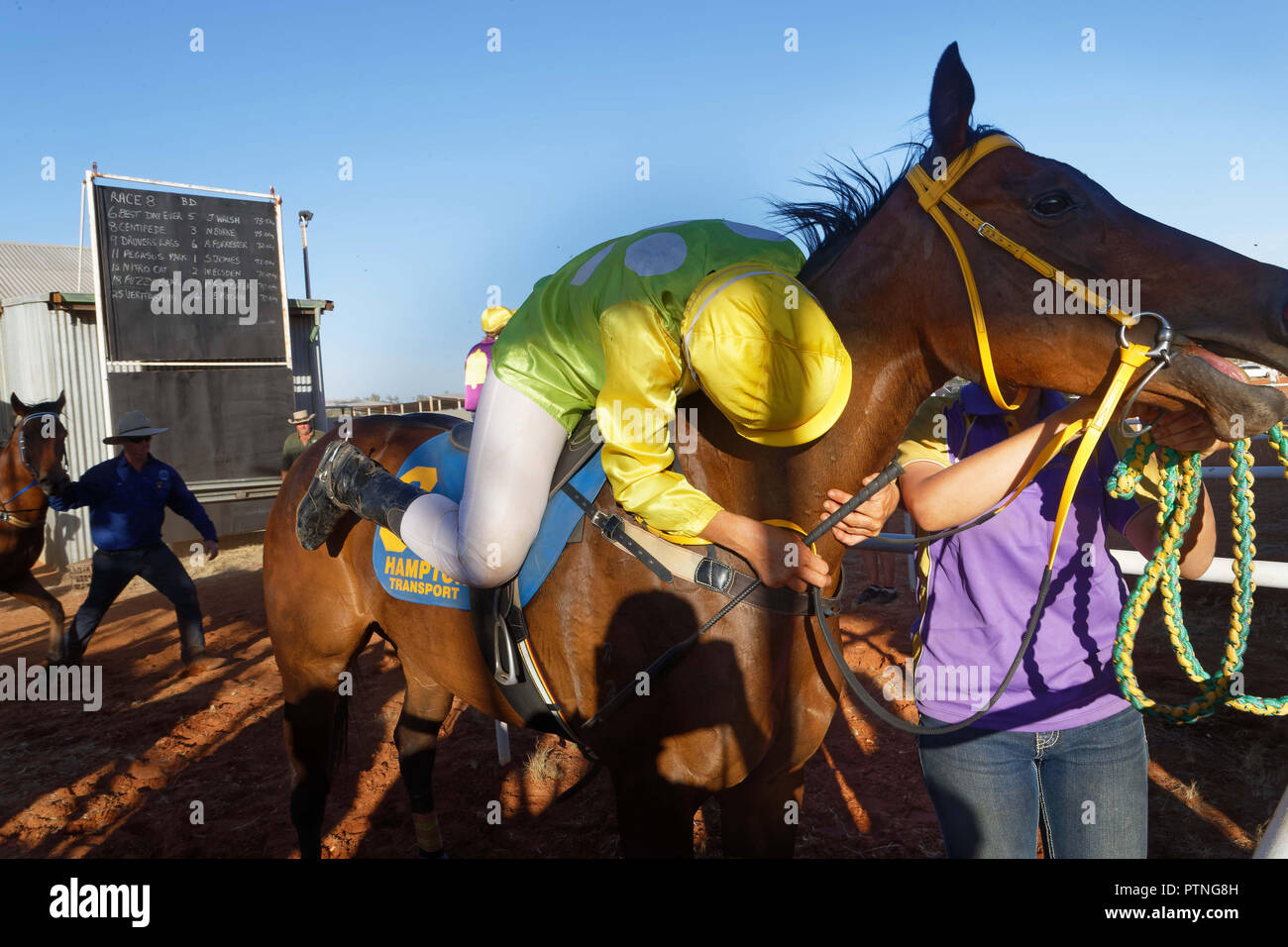 Brumby pferd -Fotos und -Bildmaterial in hoher Auflösung – Alamy