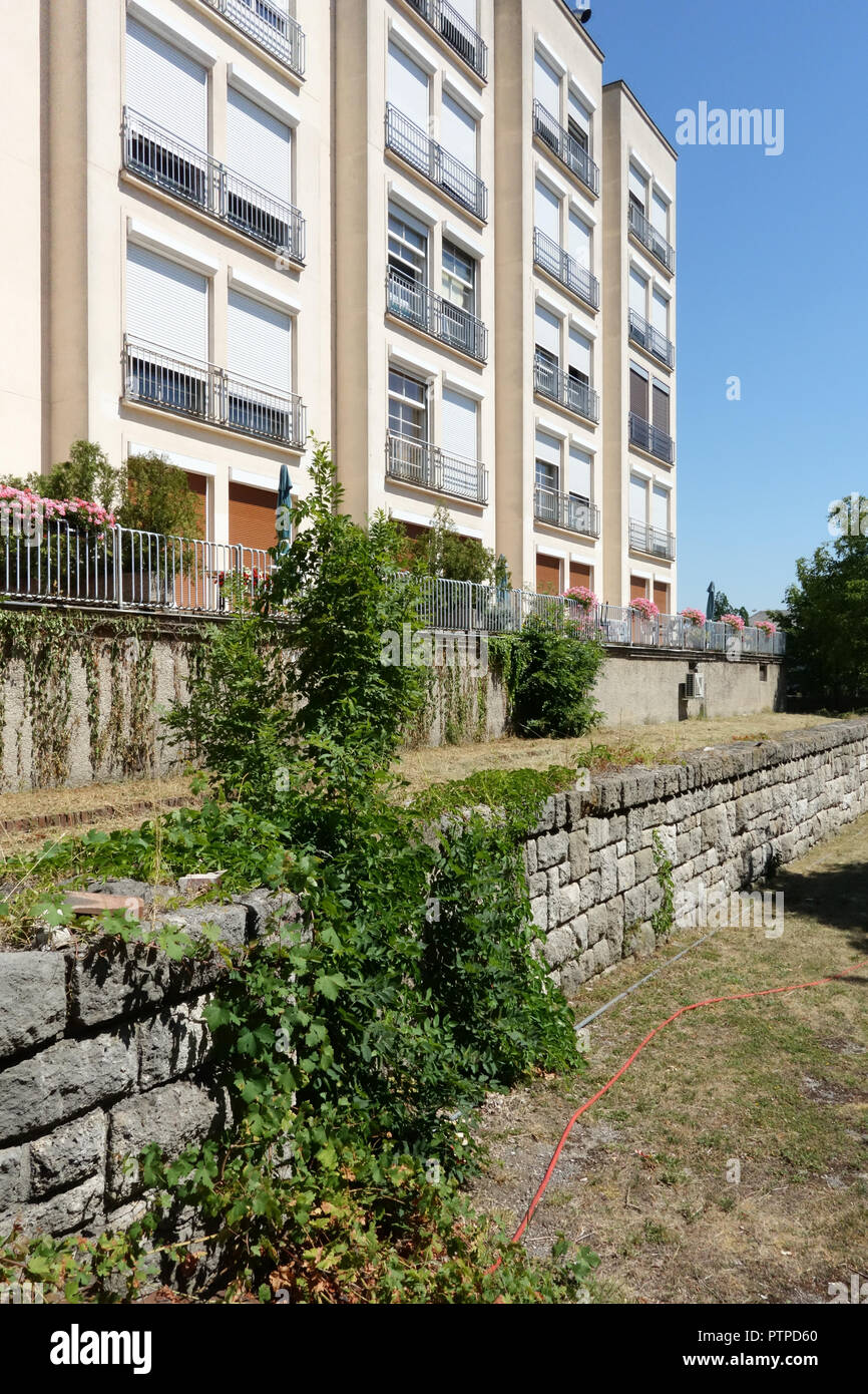 Wien, TBC-Trakt Im Krankenhaus Lainz, Fritz Judtmann Und Egon Riss 1931 ...