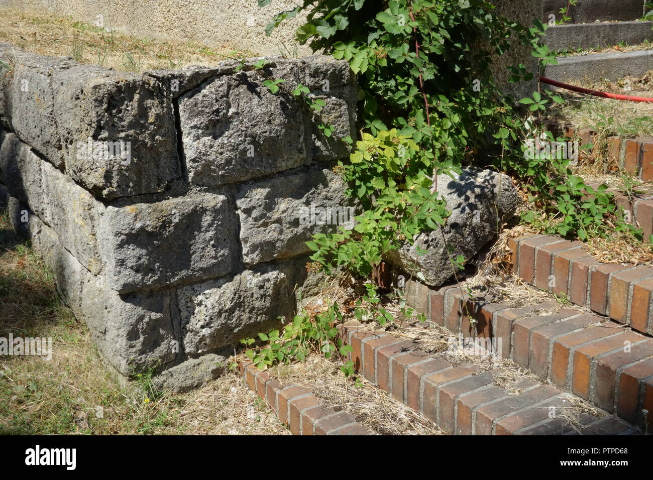 Wien, TBC-Trakt Im Krankenhaus Lainz, Fritz Judtmann Und Egon Riss 1931 ...