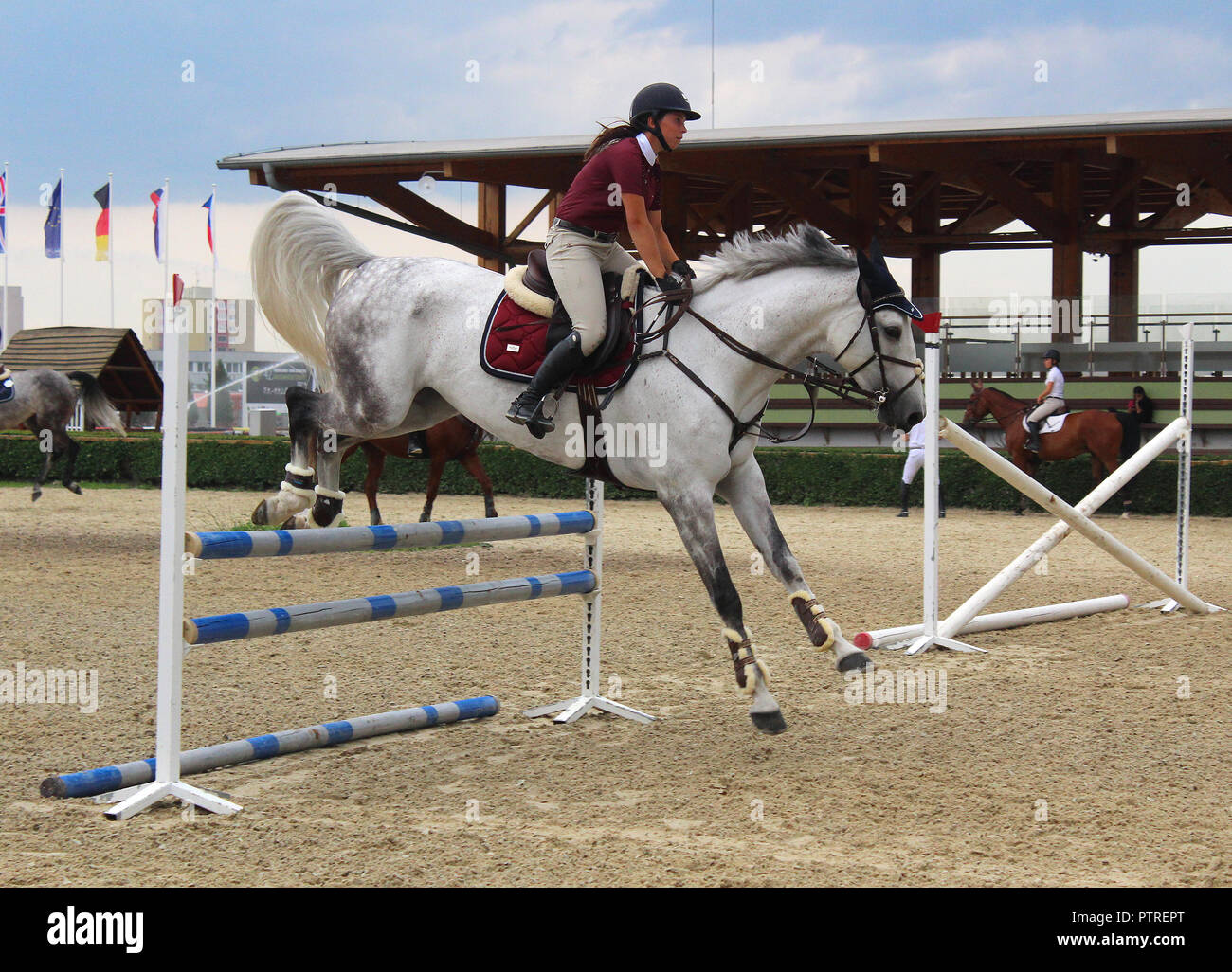 Sport springreiten -Fotos und -Bildmaterial in hoher Auflösung – Alamy