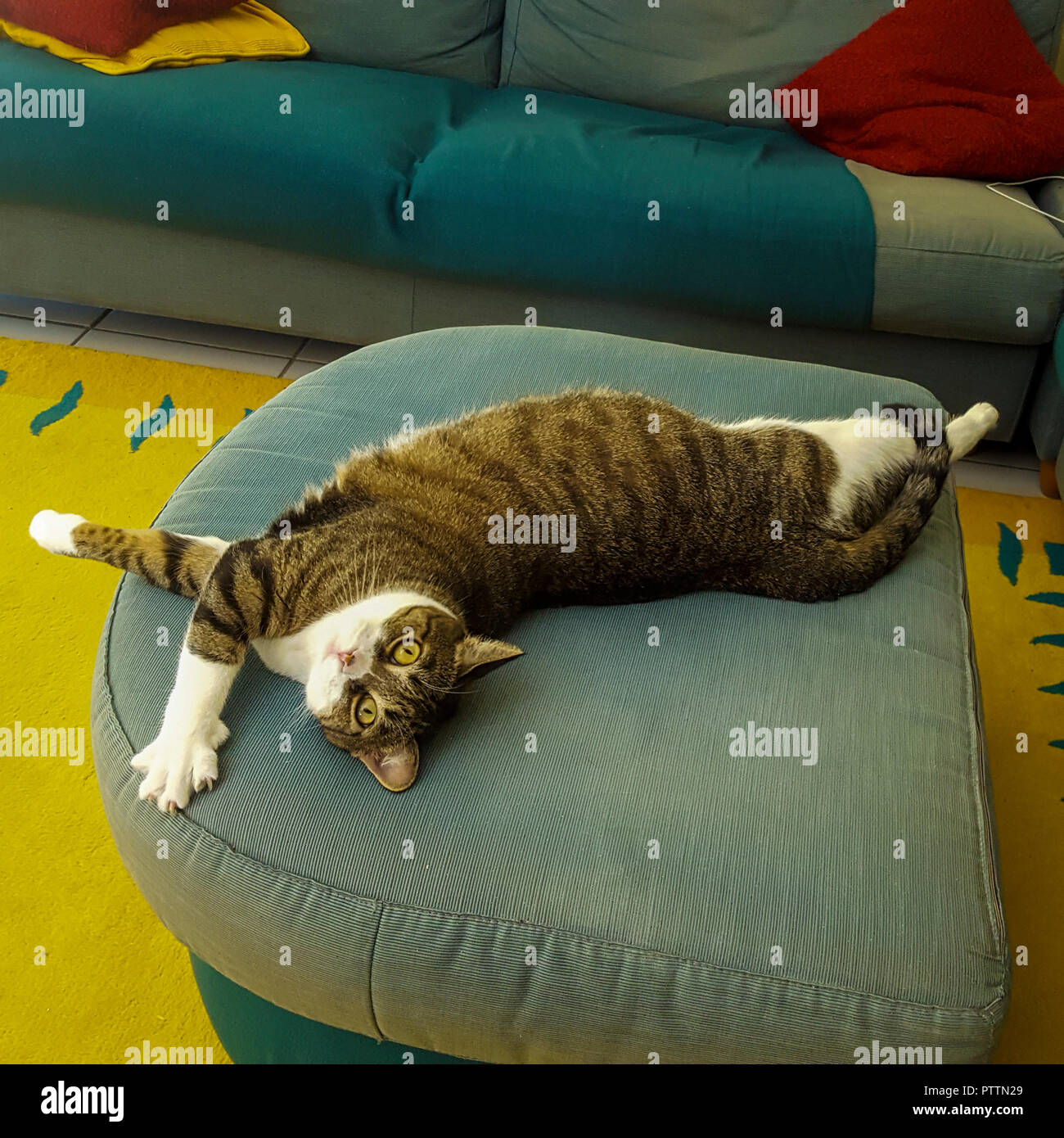 Sofa zu hause -Fotos und -Bildmaterial in hoher Auflösung – Alamy