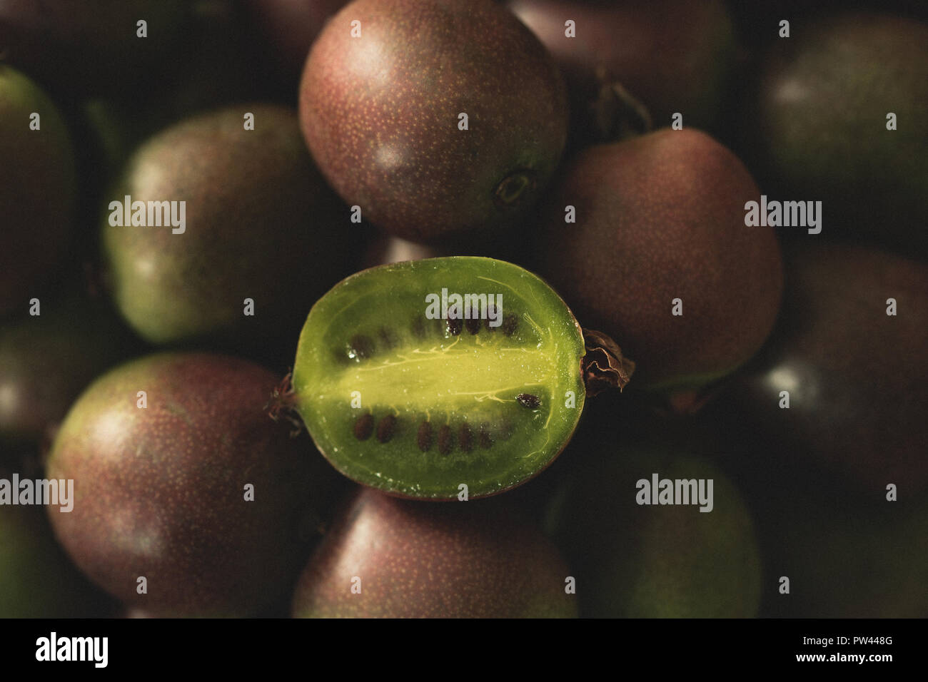 Mini kiwi plant -Fotos und -Bildmaterial in hoher Auflösung – Alamy