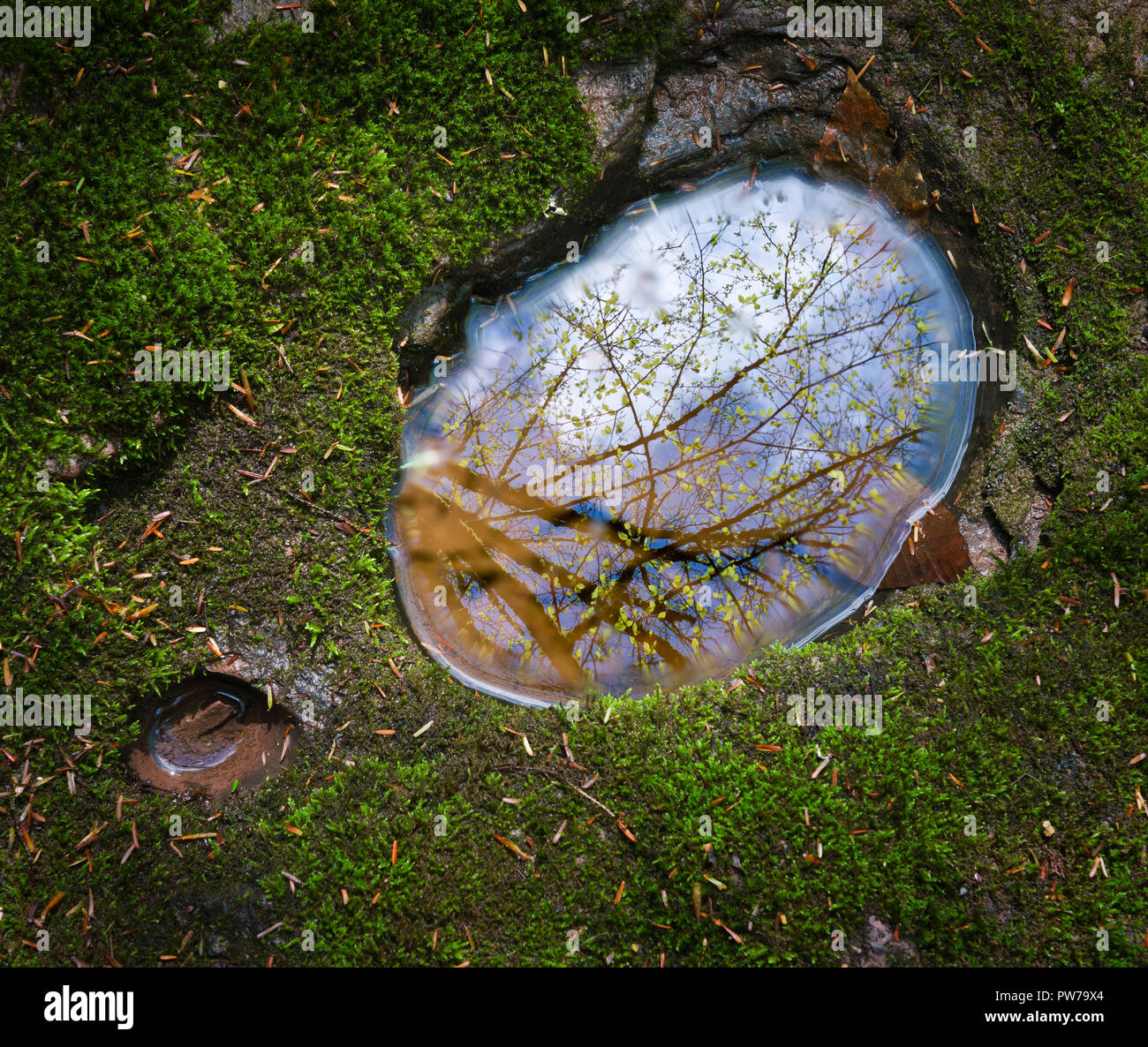Kolk loch -Fotos und -Bildmaterial in hoher Auflösung – Alamy