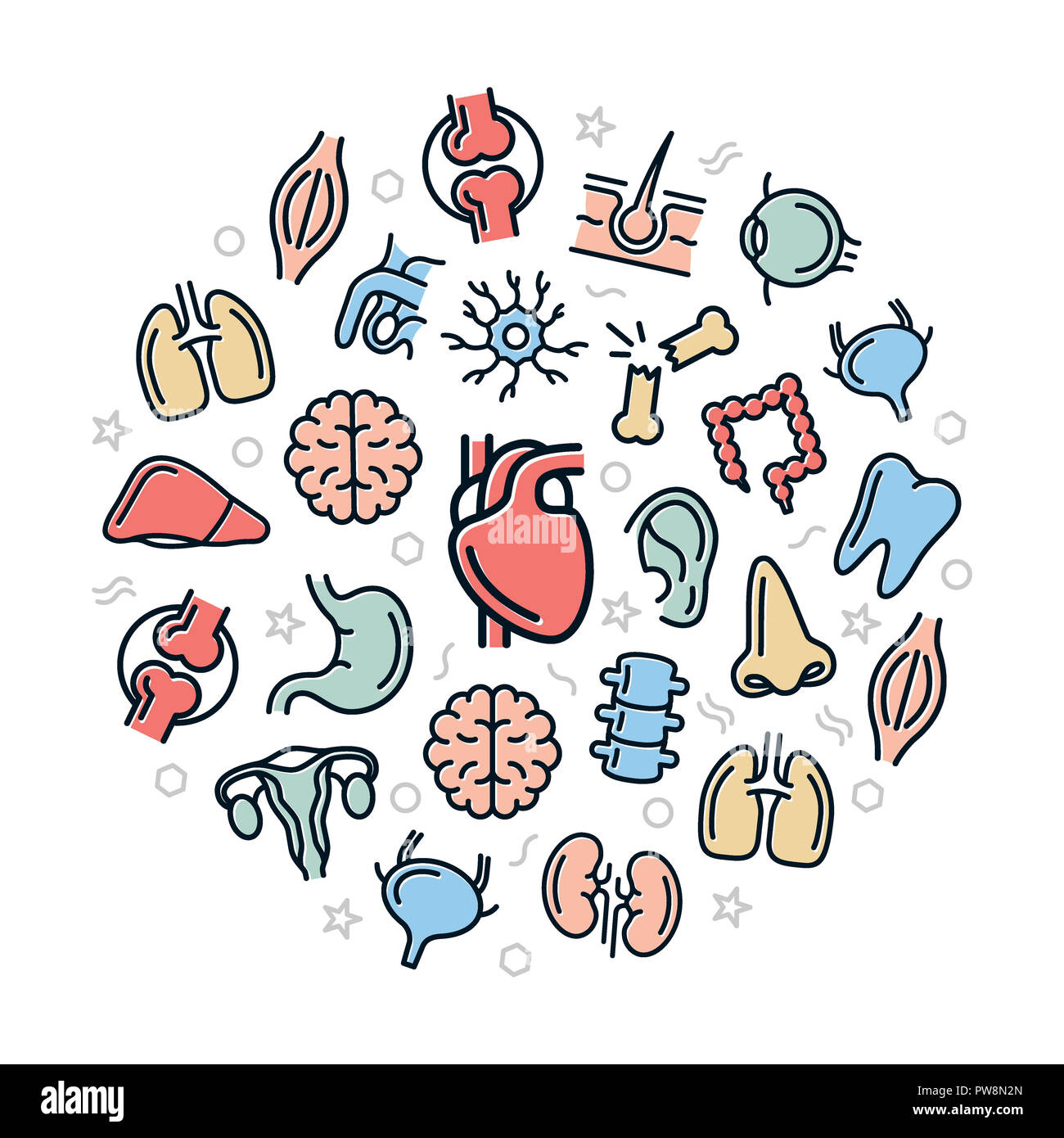Organe und Anatomie farbige Symbole im Kreis Design Konzept. Abbildung ...