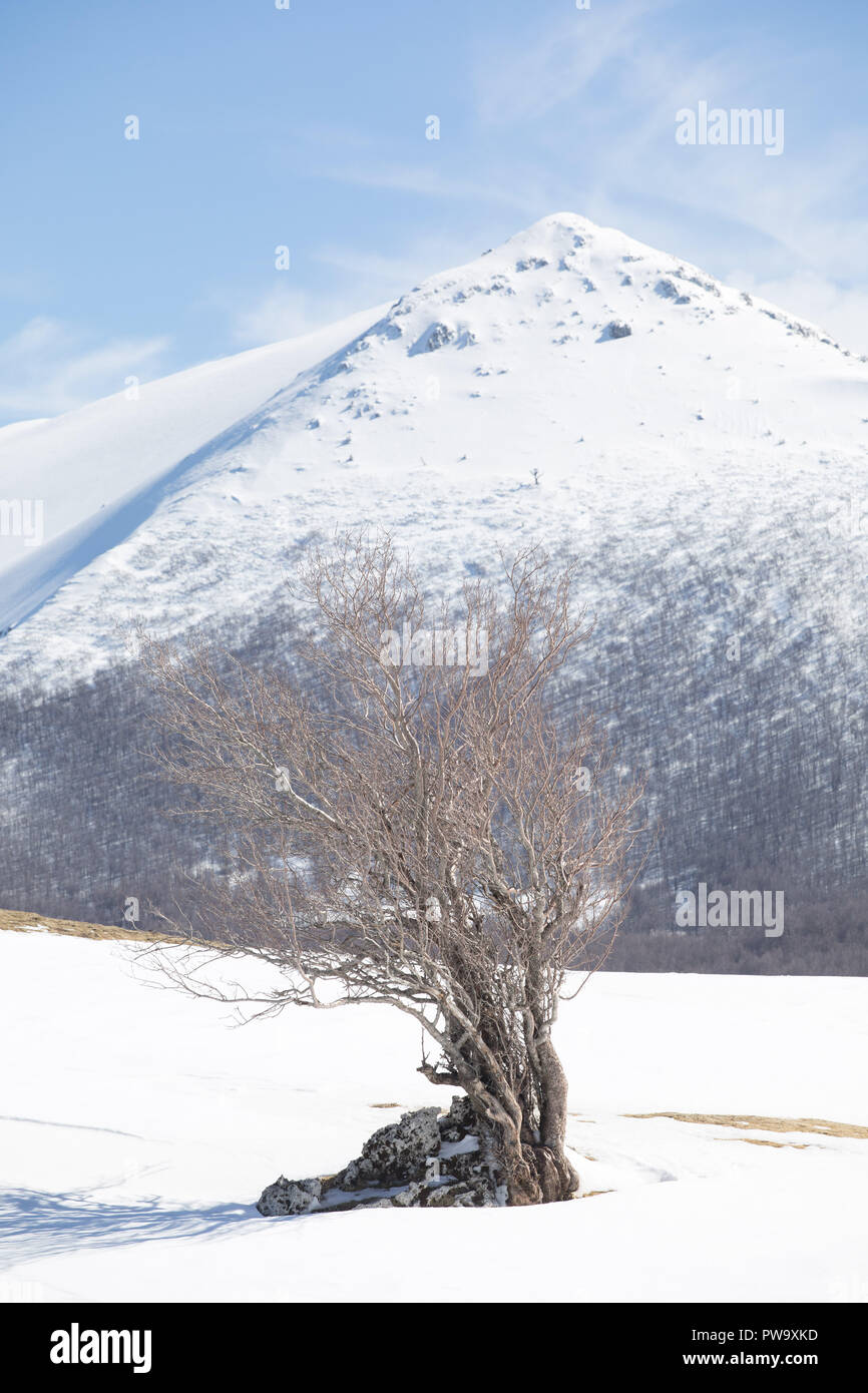 Landscape pollino national park calabria -Fotos und -Bildmaterial in ...