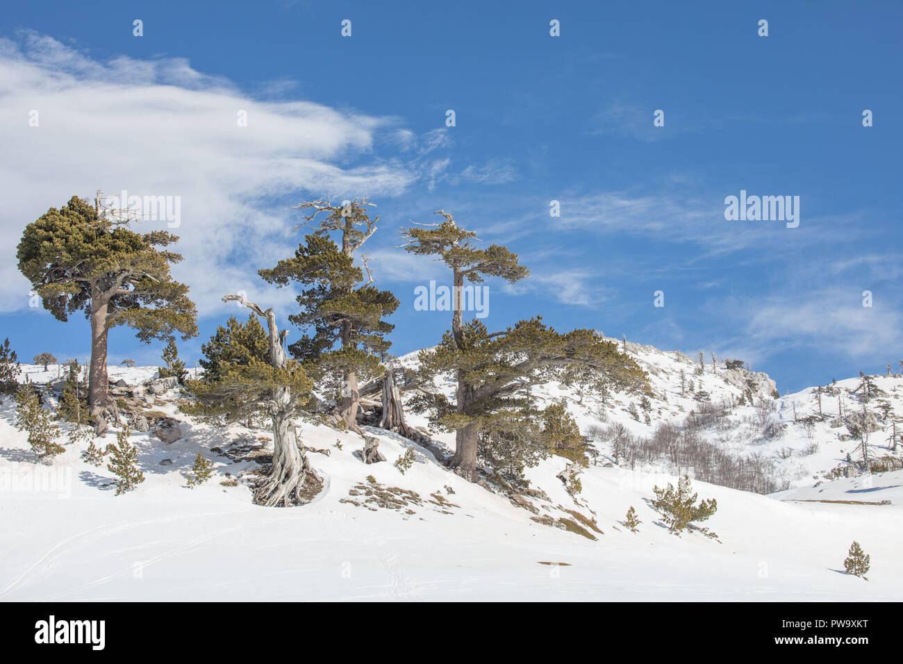 Landscape pollino national park calabria -Fotos und -Bildmaterial in ...