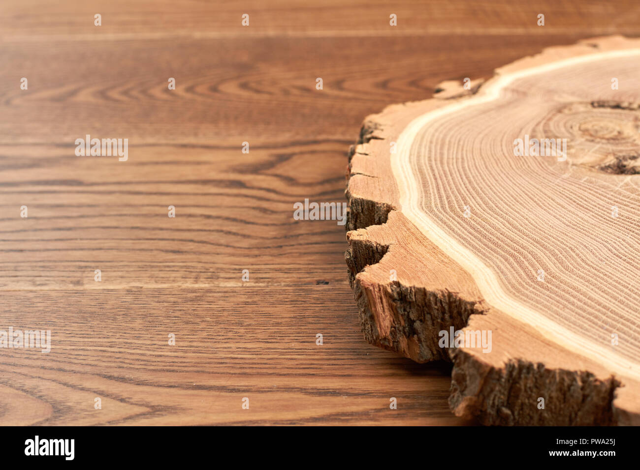 Holz- schicht mit Rinde. Leere Holzscheibe für Dekoration, Ansicht von ...