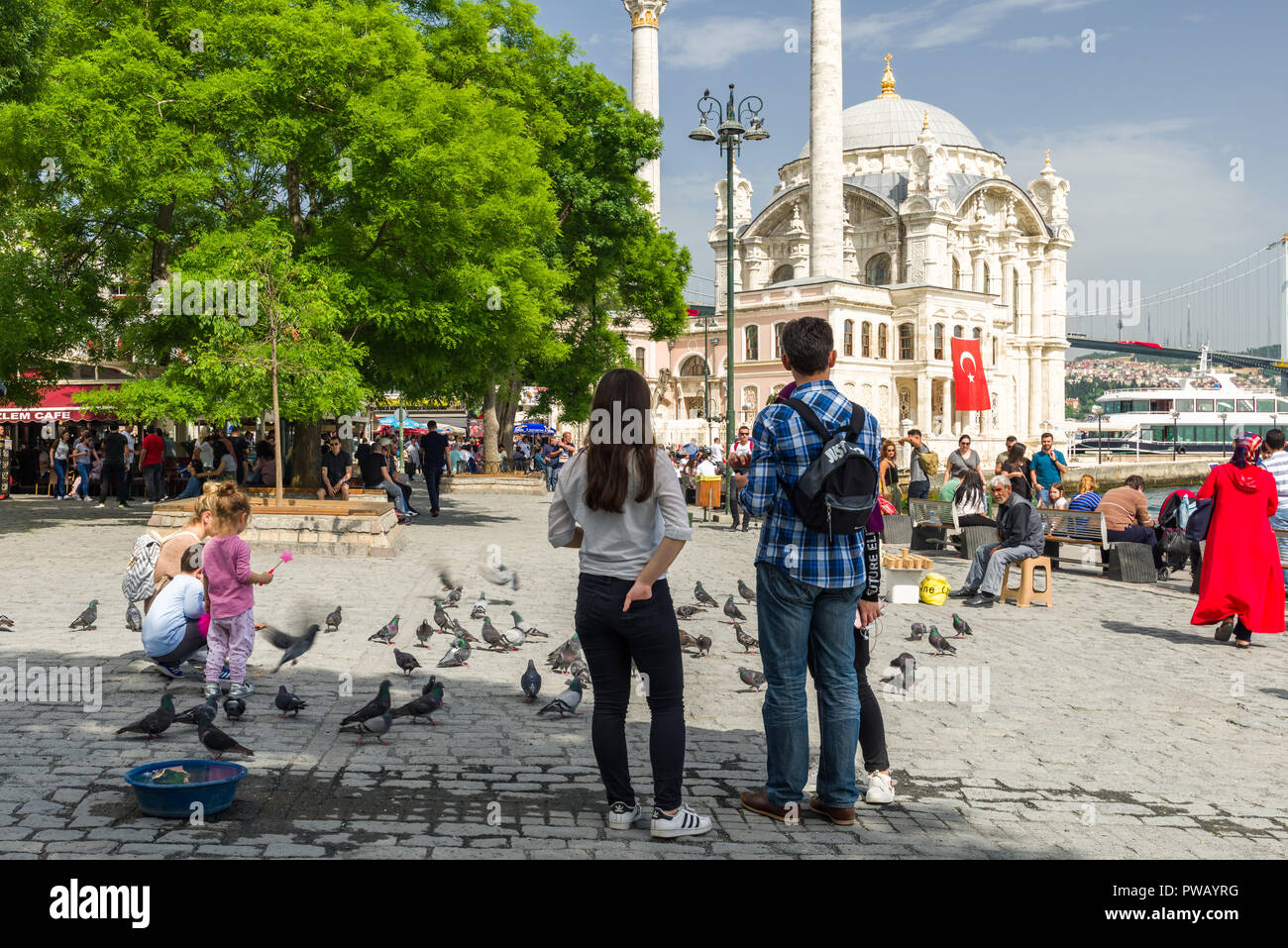 Tauben sind menschen -Fotos und -Bildmaterial in hoher Auflösung – Alamy