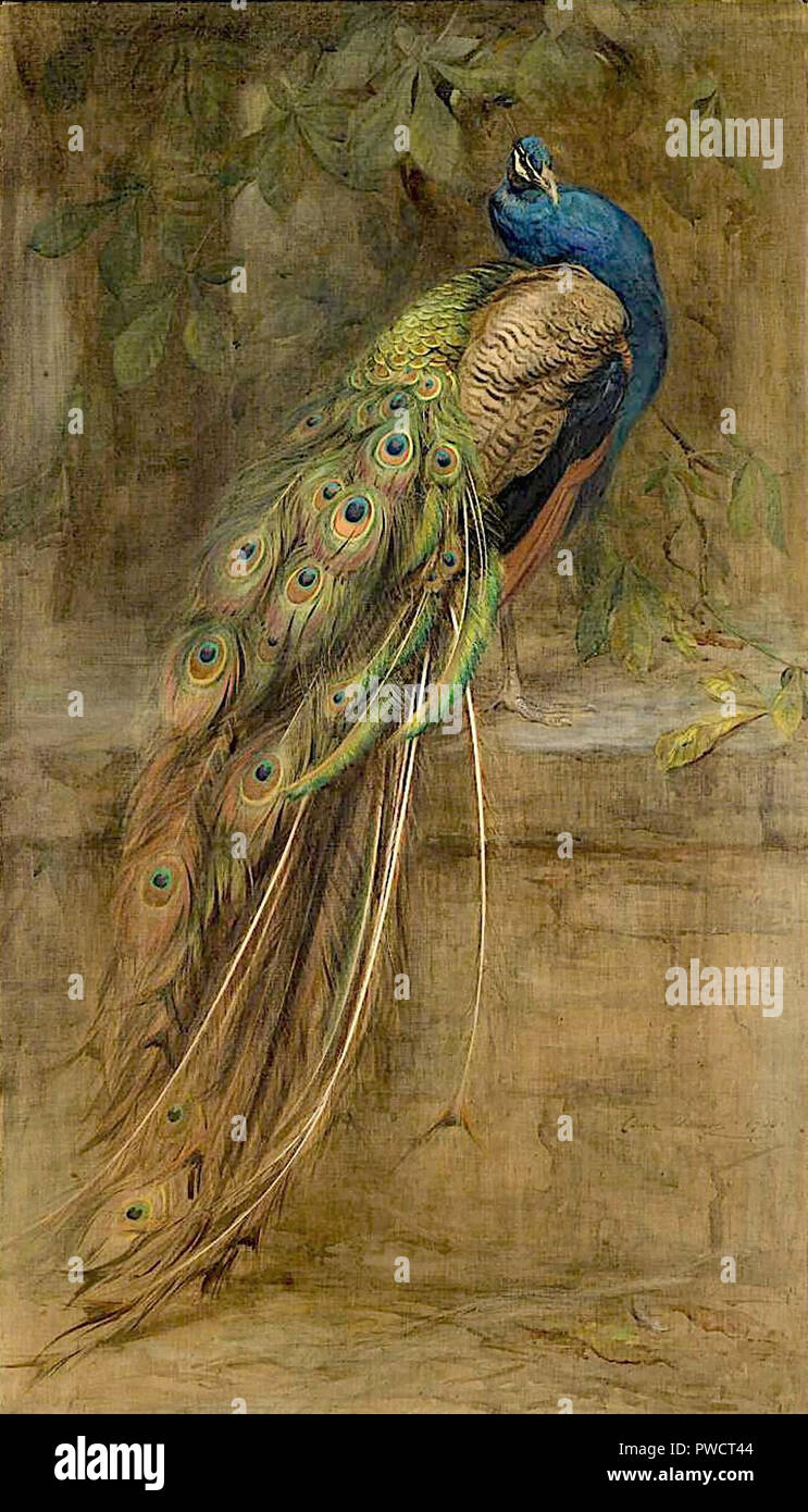 John pfau -Fotos und -Bildmaterial in hoher Auflösung – Alamy