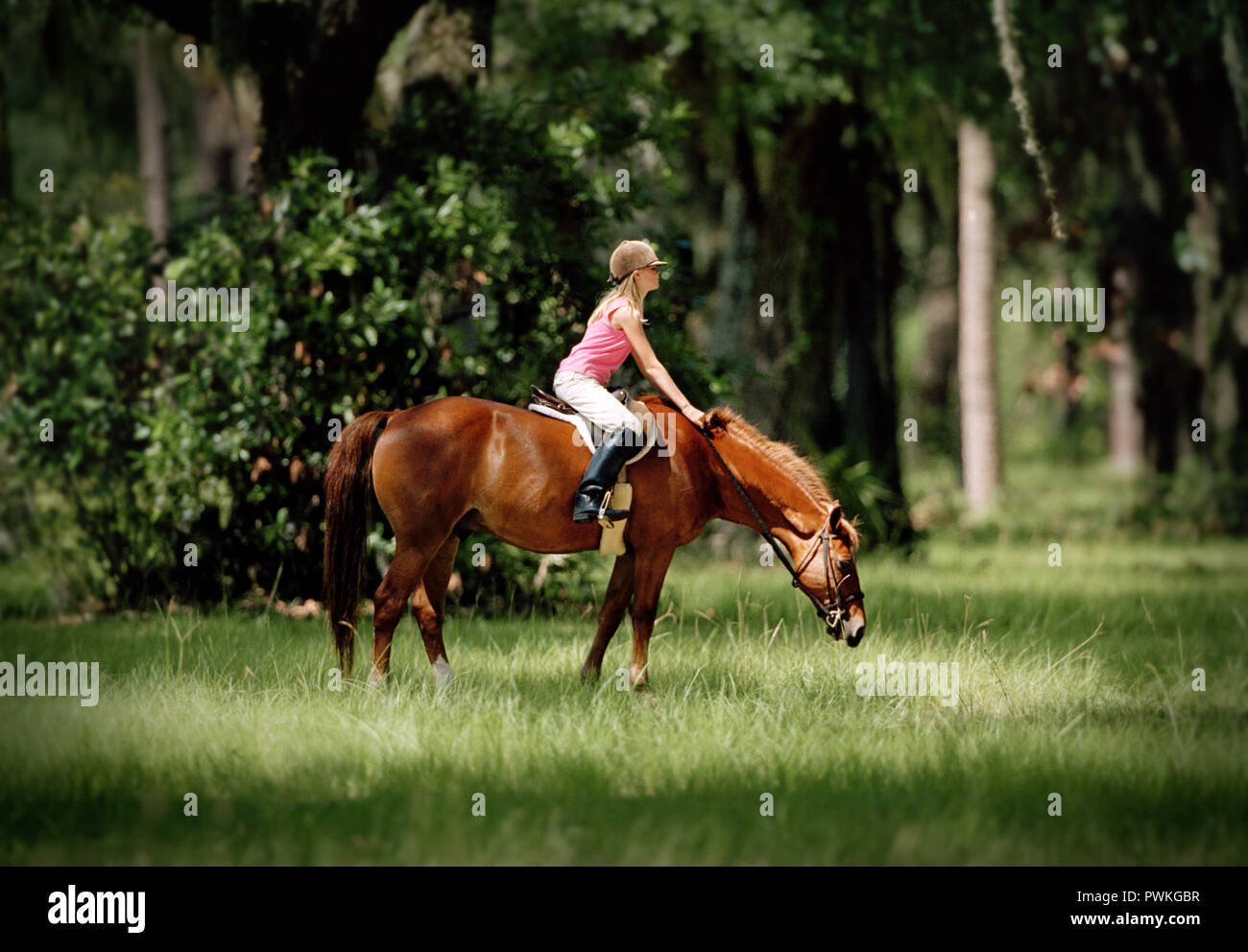 Mädchen mit einem pferd auf dem feld -Fotos und -Bildmaterial in hoher ...