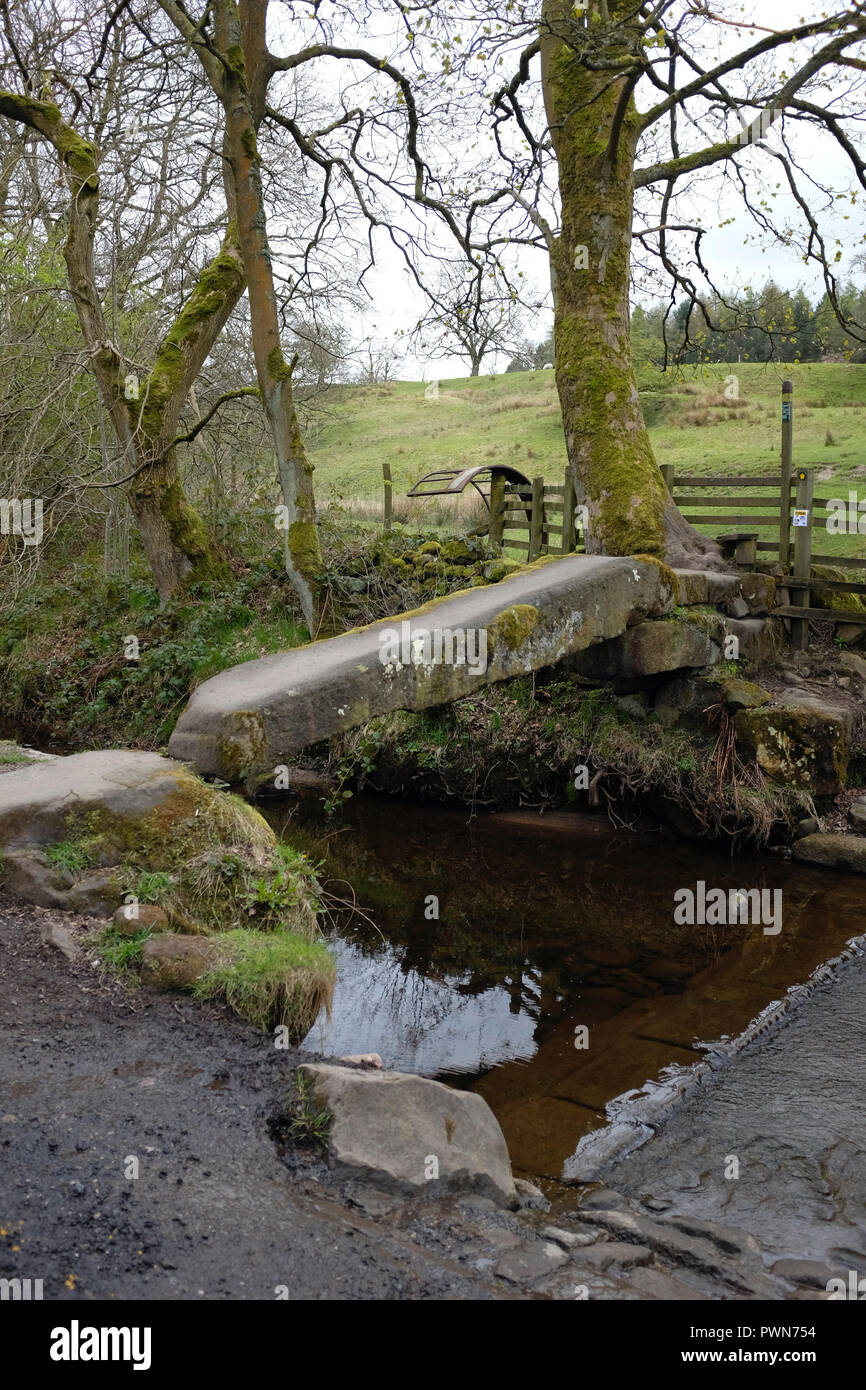 River clam -Fotos und -Bildmaterial in hoher Auflösung – Alamy