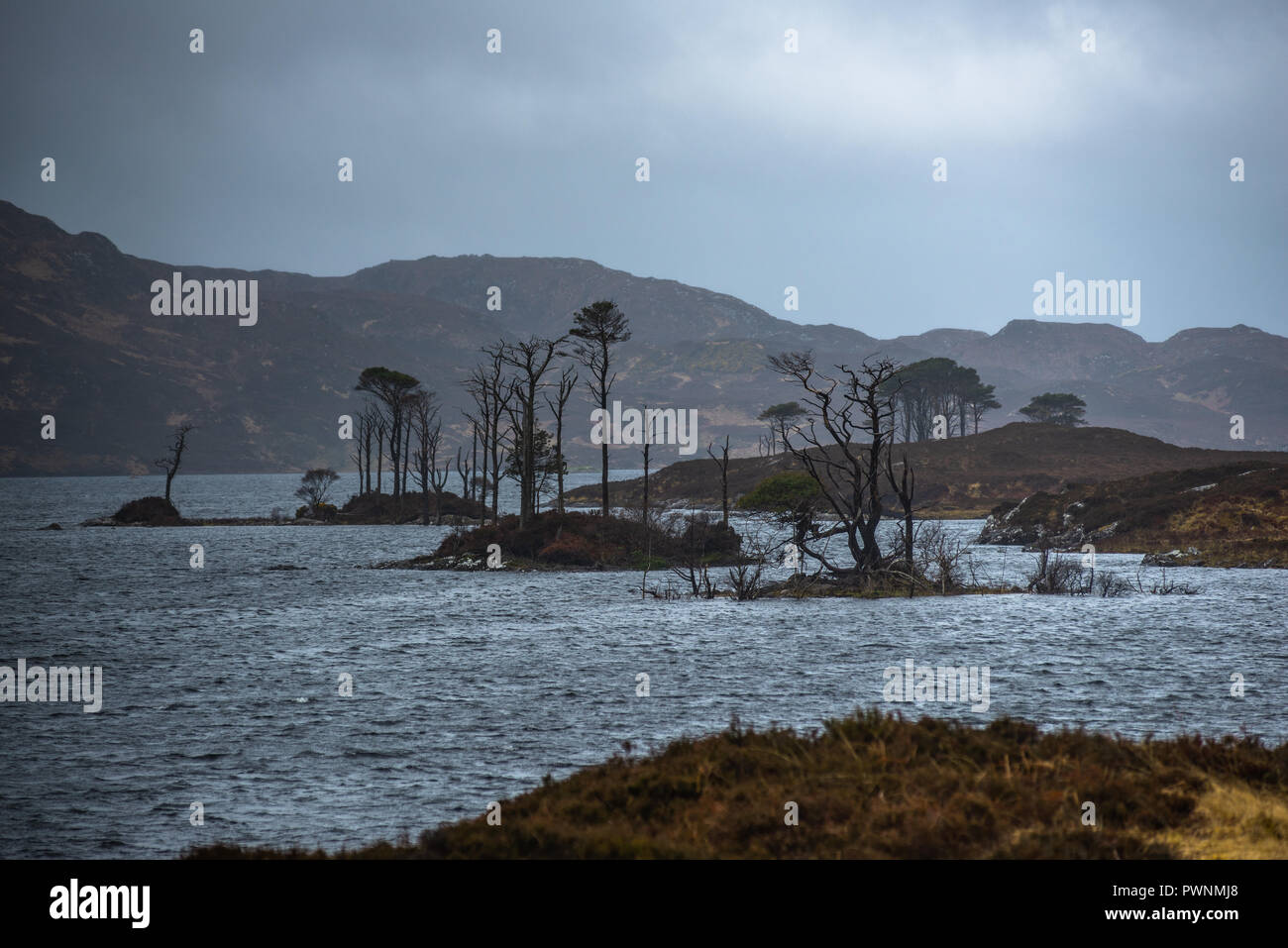 Bäume auf kleinen Inseln in das Wasser des Loch Assynt bei Hochwasser ...