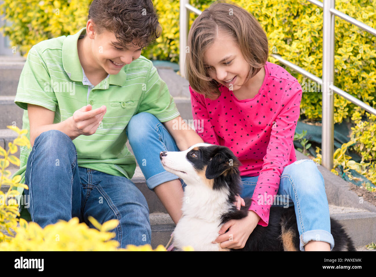 Attraktive kinder mit hund -Fotos und -Bildmaterial in hoher Auflösung ...