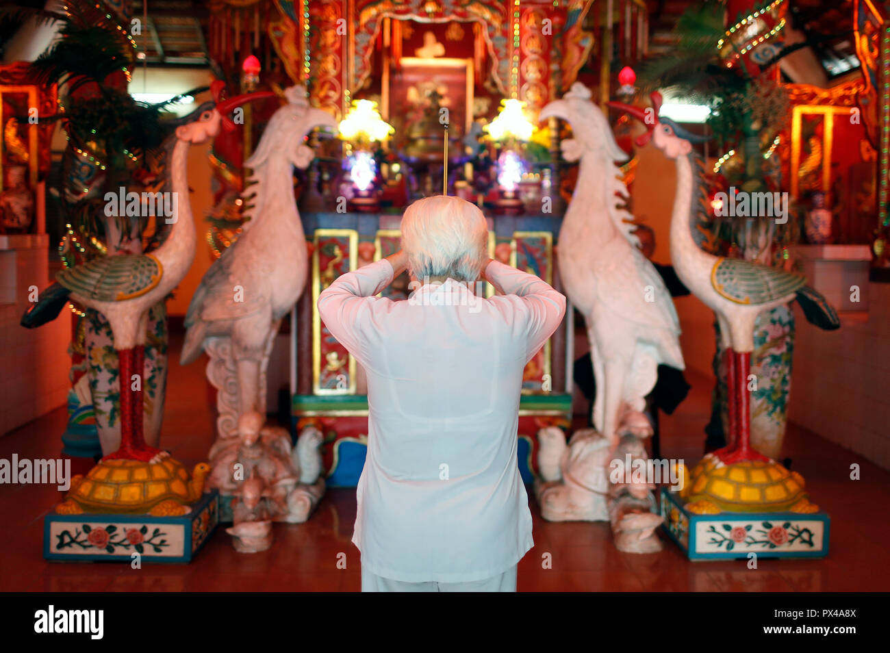 Das mieu -Fotos und -Bildmaterial in hoher Auflösung – Alamy