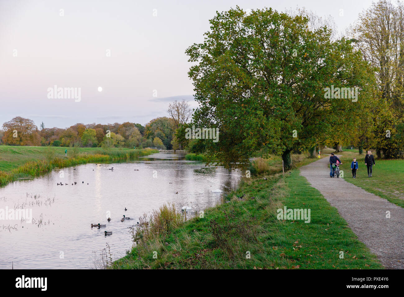 Castletown house in celbridge -Fotos und -Bildmaterial in hoher ...