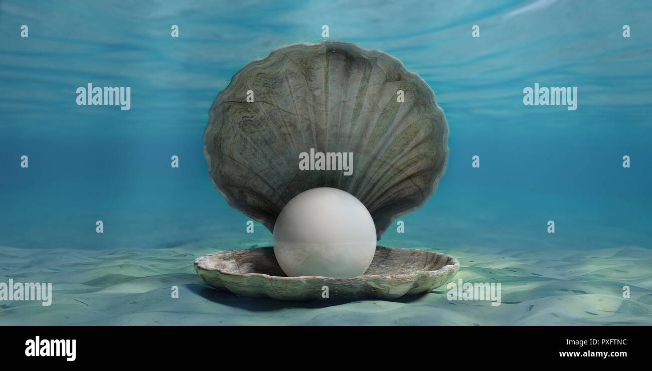 Perle in der Auster Shell im Wasser, auf dem Meeresgrund. 3D ...