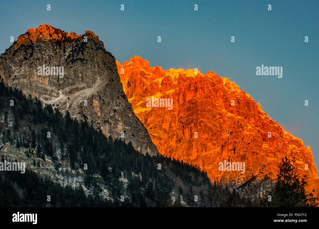 Albero del paesaggio di montagna -Fotos und -Bildmaterial in hoher Auflösung – Alamy