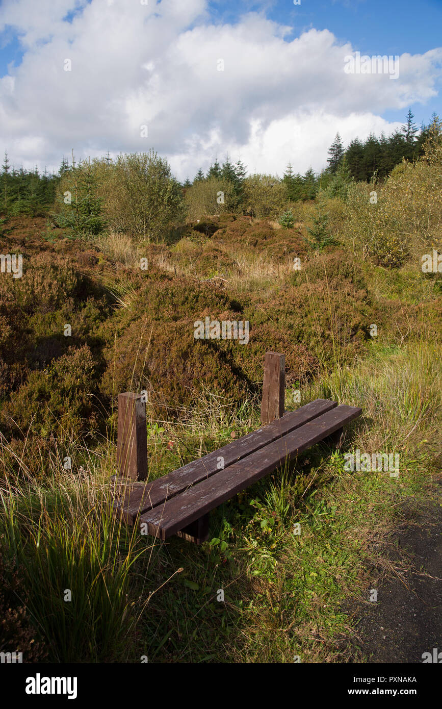 Lough Navar Wald Stockfotos und -bilder Kaufen - Alamy