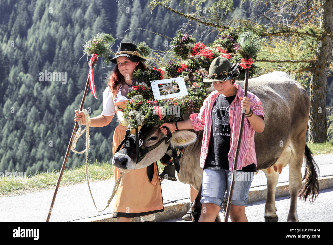 Almabtrieb Tirol Stockfotos und -bilder Kaufen - Alamy