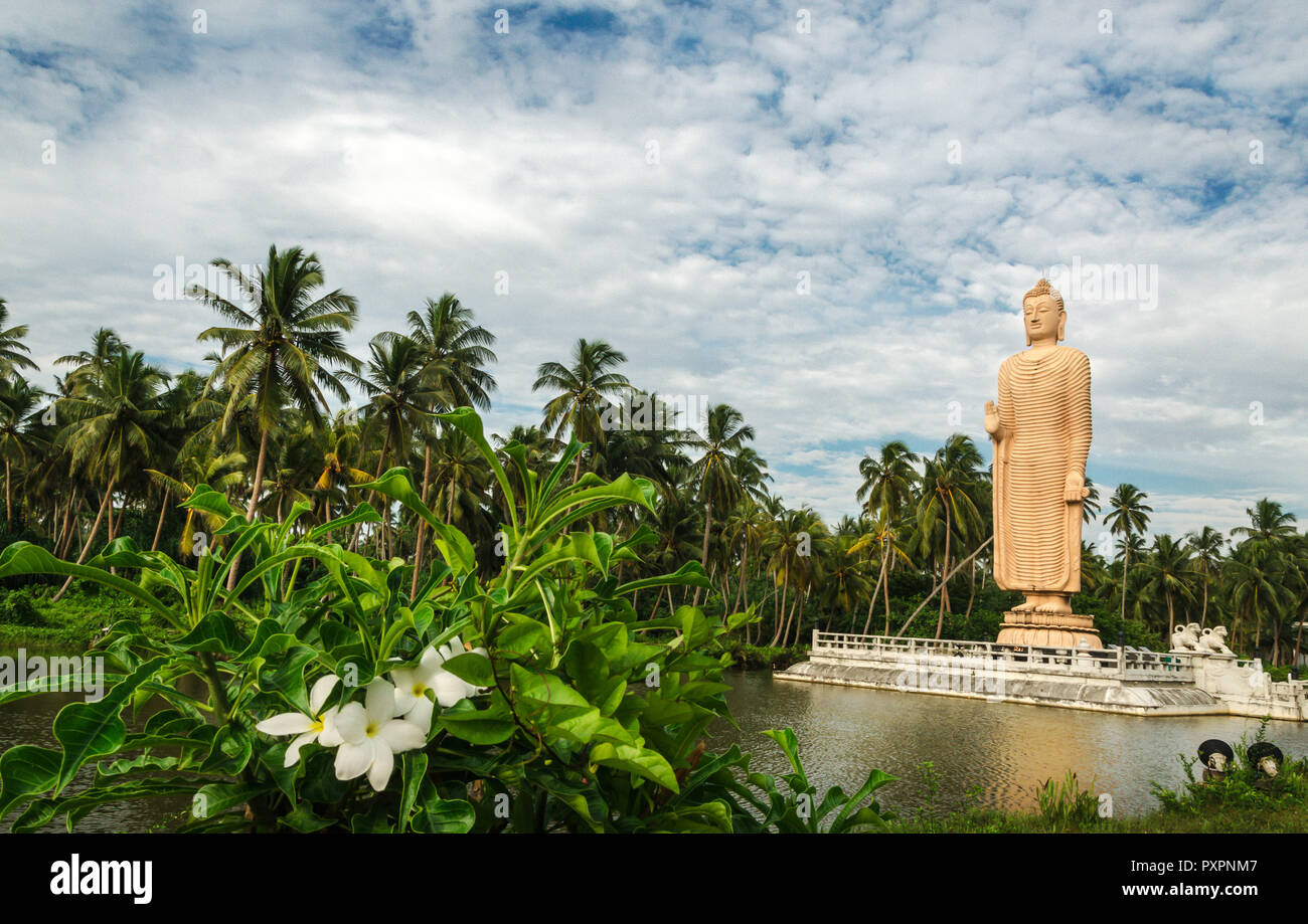 Ceylon buddha -Fotos und -Bildmaterial in hoher Auflösung – Alamy