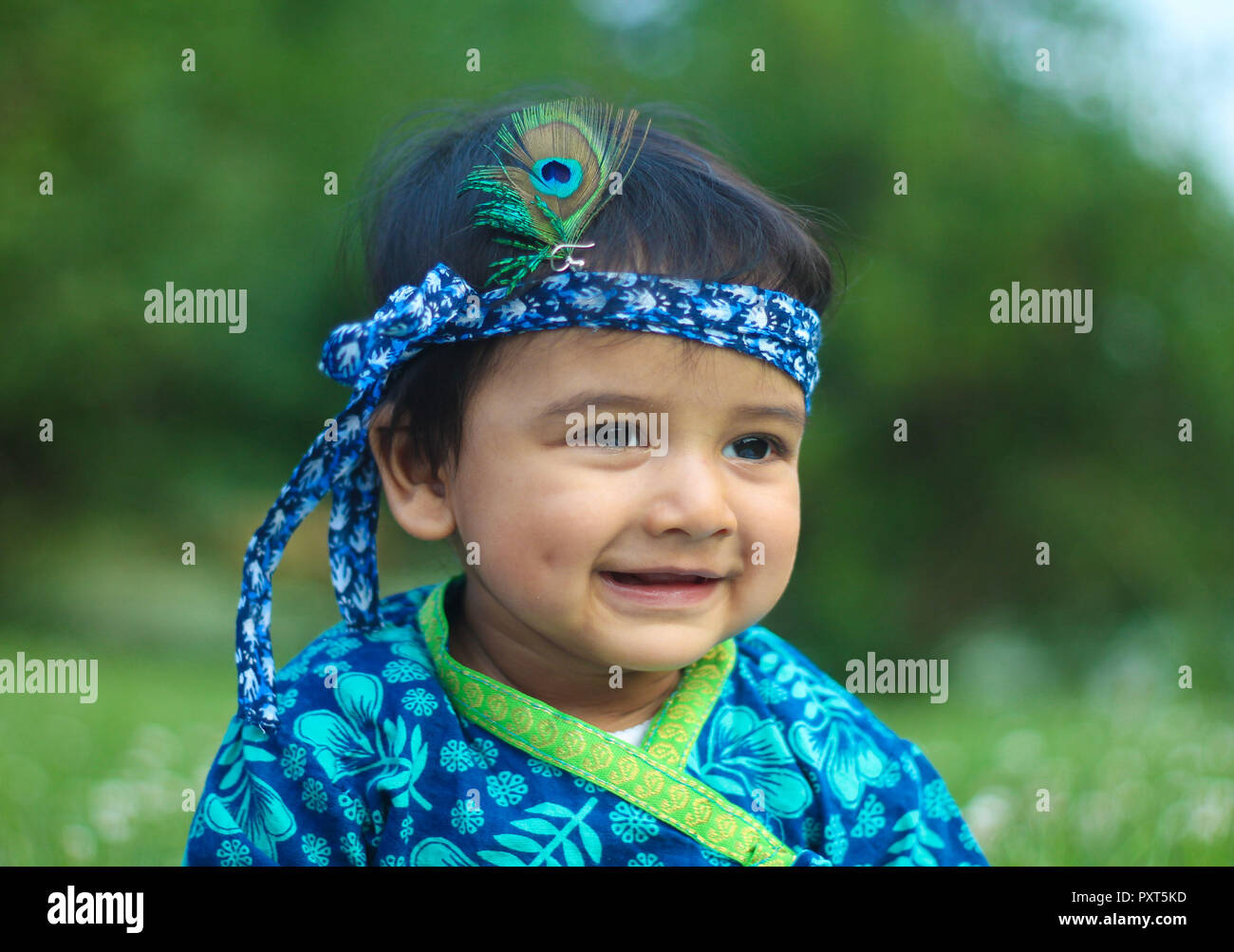 Baby peacock -Fotos und -Bildmaterial in hoher Auflösung - Seite 2 - Alamy