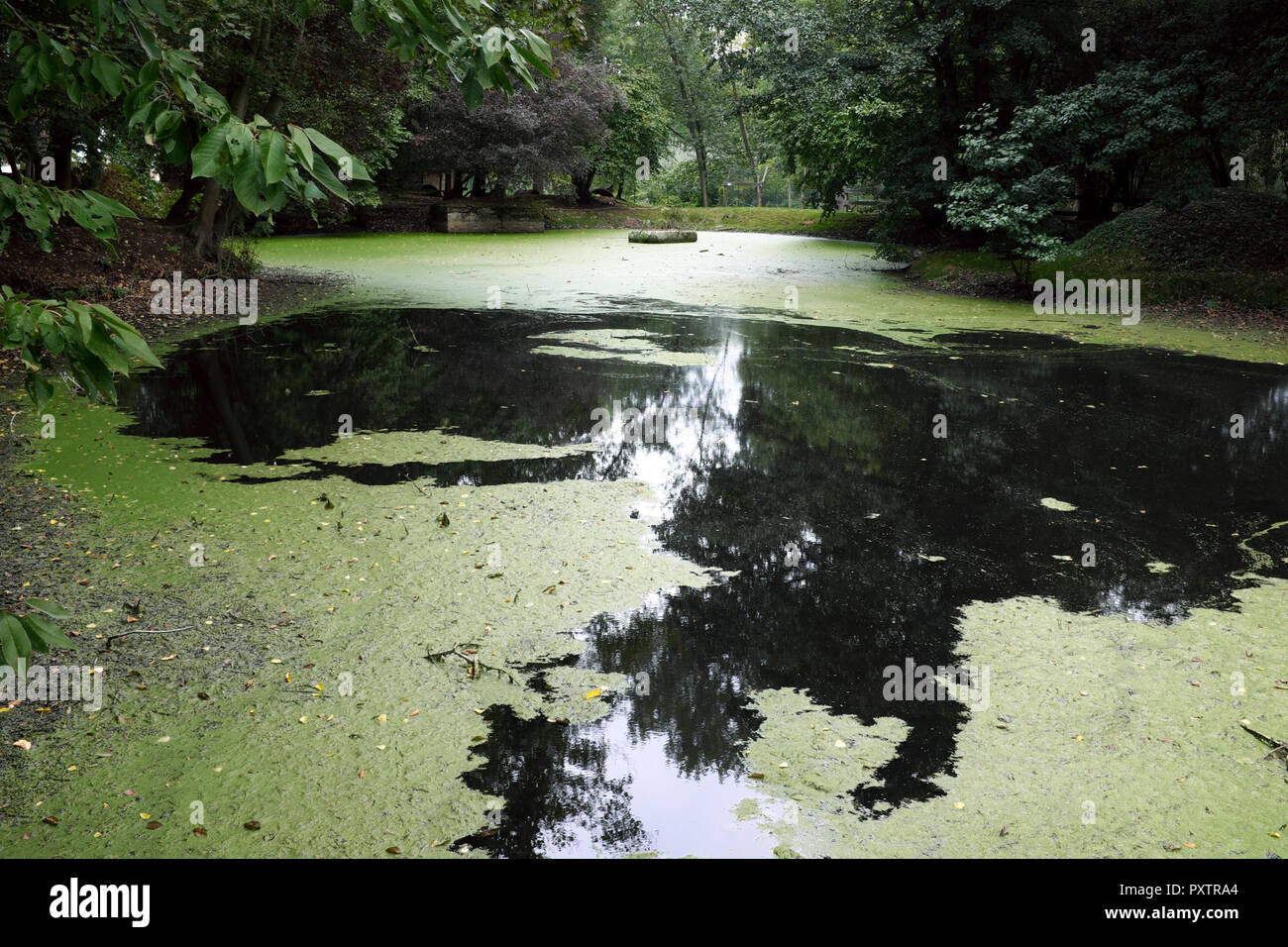 Hooge belgium crater -Fotos und -Bildmaterial in hoher Auflösung – Alamy