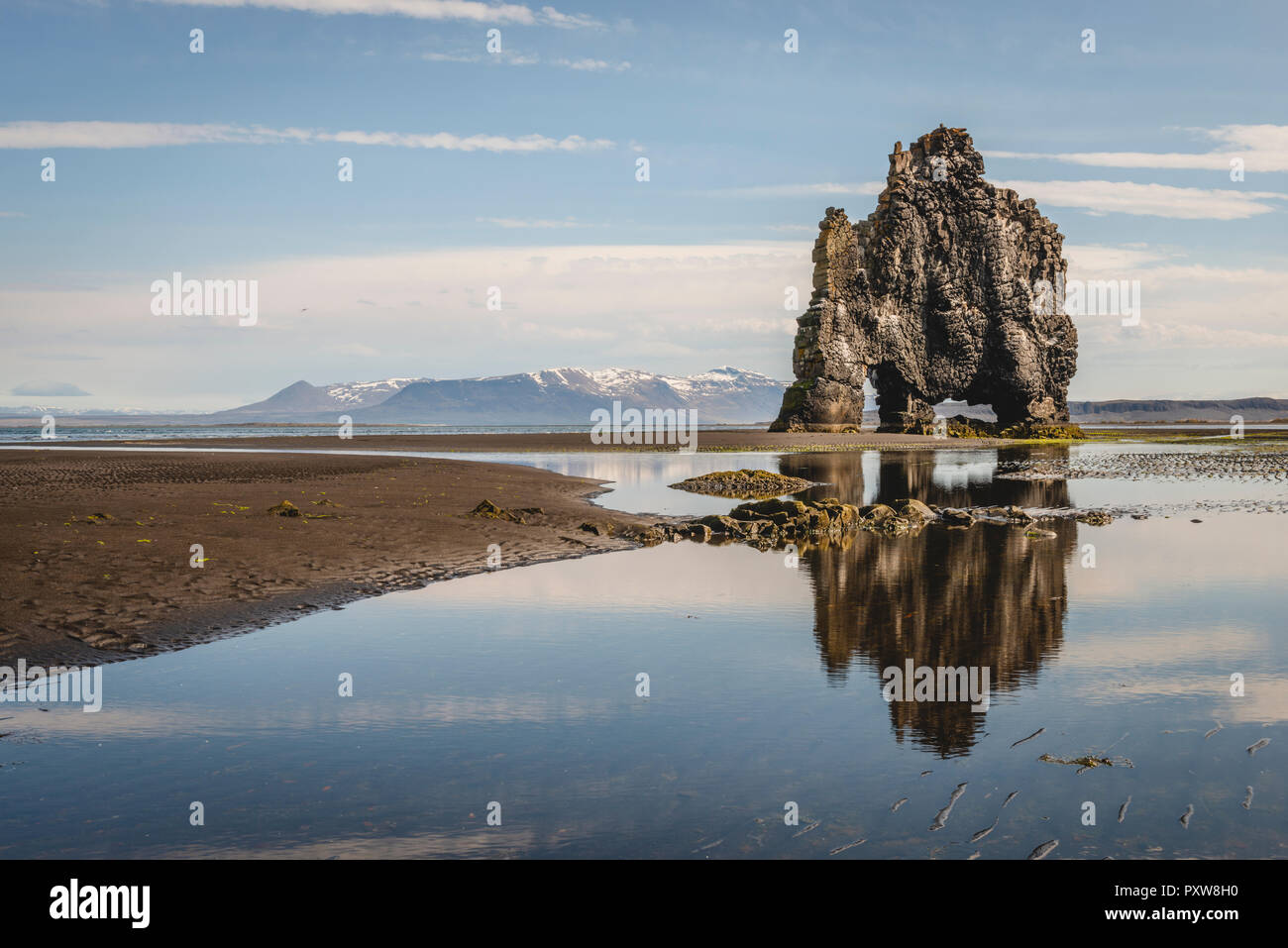 Island hvitserkur -Fotos und -Bildmaterial in hoher Auflösung – Alamy