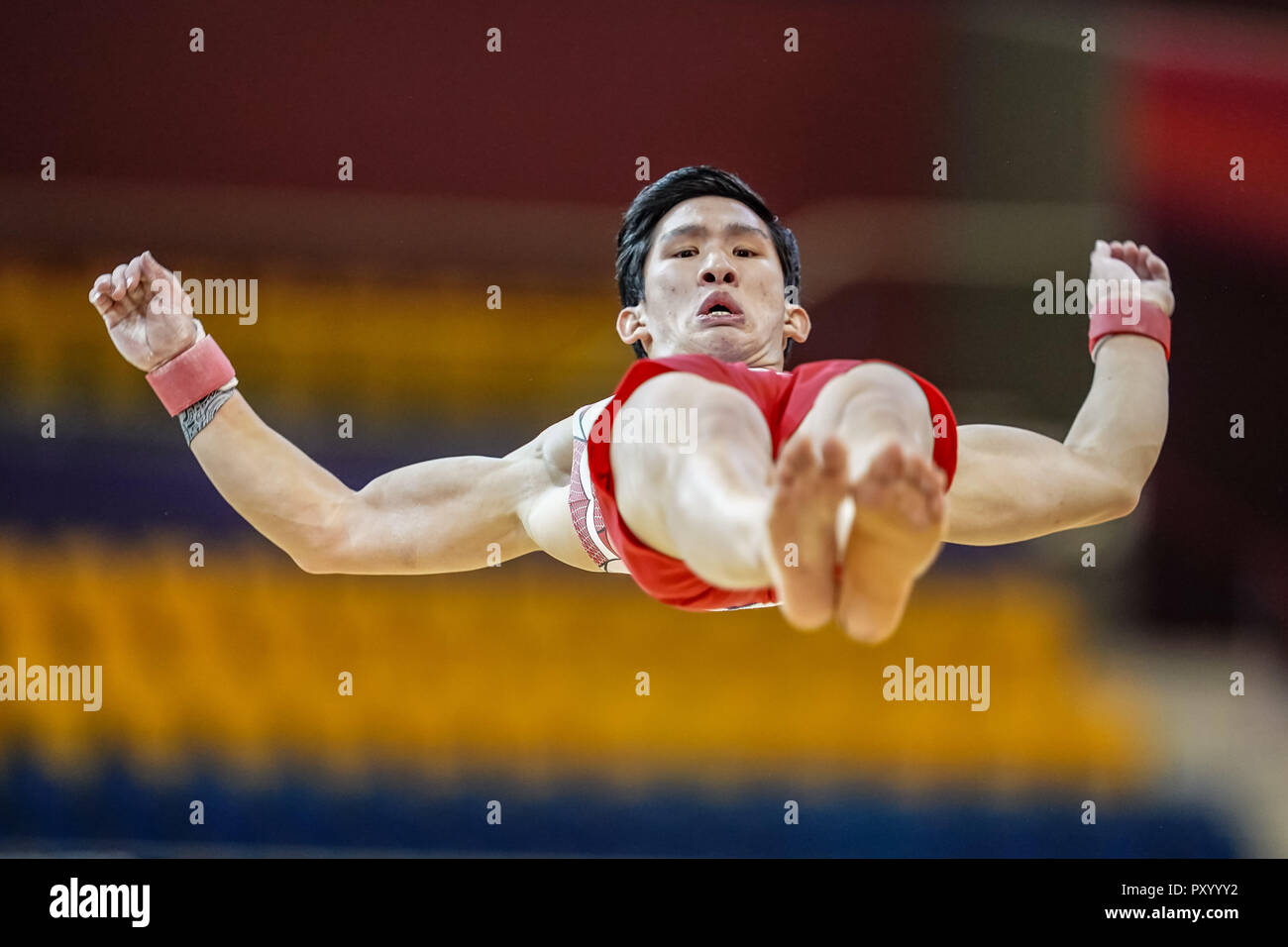 Terry tay -Fotos und -Bildmaterial in hoher Auflösung – Alamy