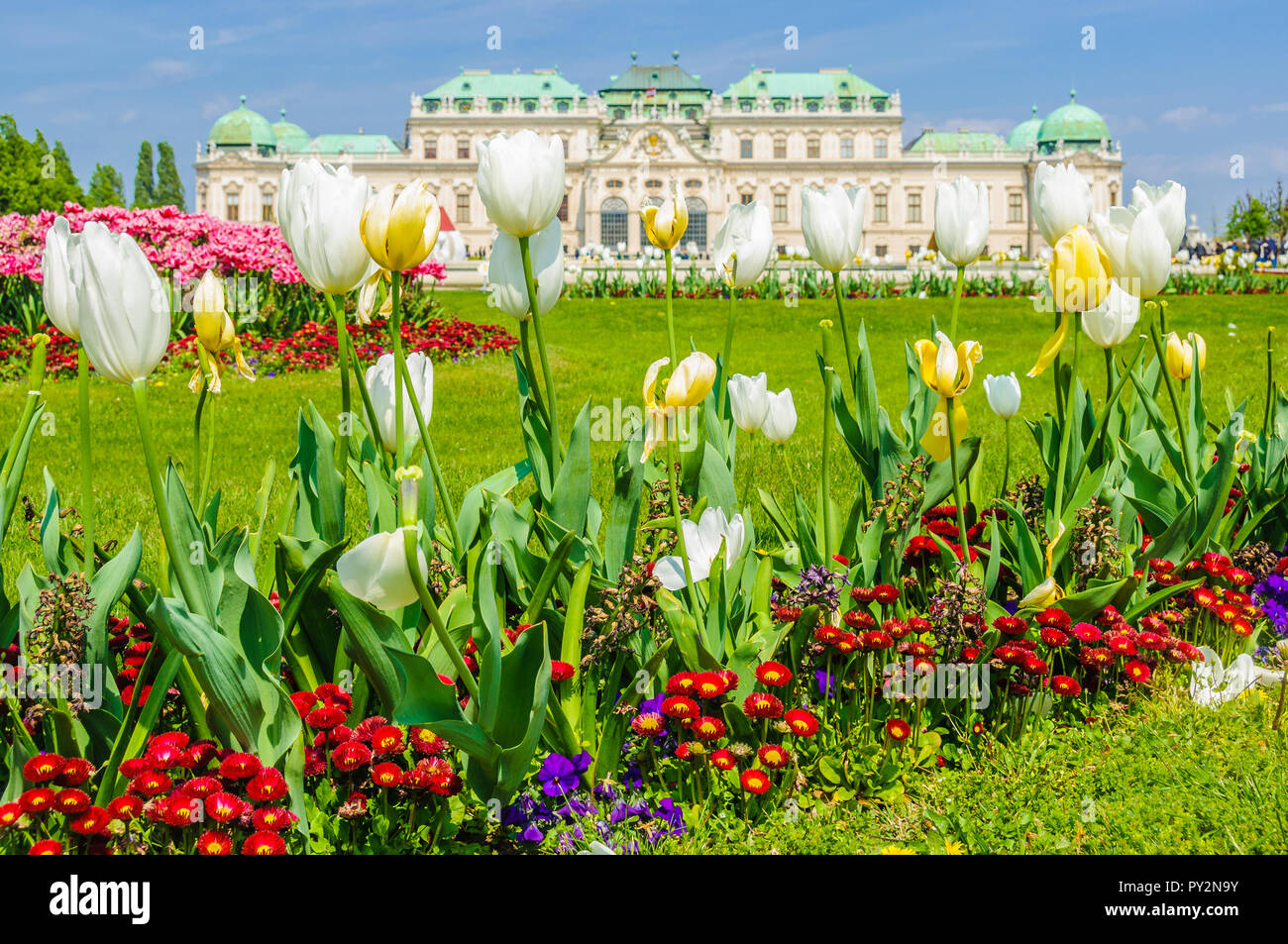 Blumen im Garten von Schloss Belvedere in Wien, Österreich ...