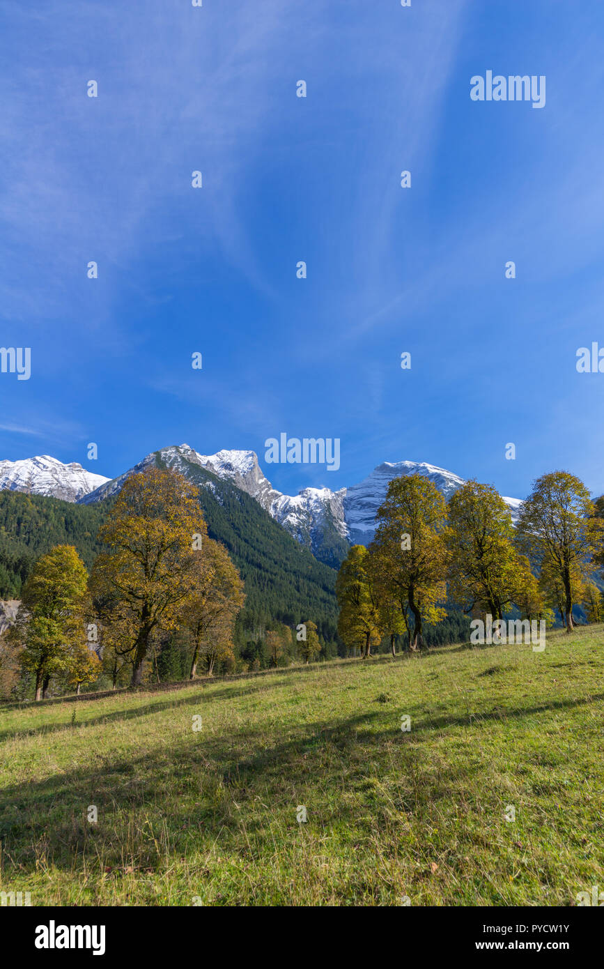 Engtal oder engen Tal, Maple Valley, großer Ahornboden, tolle Ahorn ...