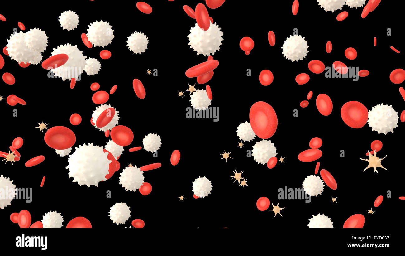 Red Blood Cell Microscope Stockfotos und -bilder Kaufen - Seite 2 - Alamy