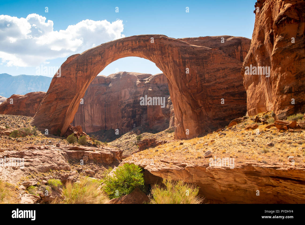 Grande arch -Fotos und -Bildmaterial in hoher Auflösung – Alamy