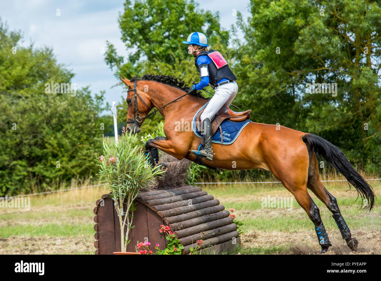 Pferd Sprung Frankreich Stockfotos und -bilder Kaufen - Alamy