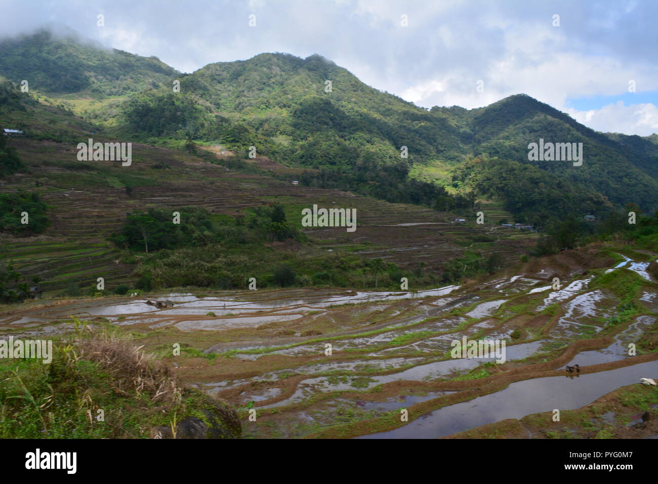 Kiangan ifugao -Fotos und -Bildmaterial in hoher Auflösung – Alamy